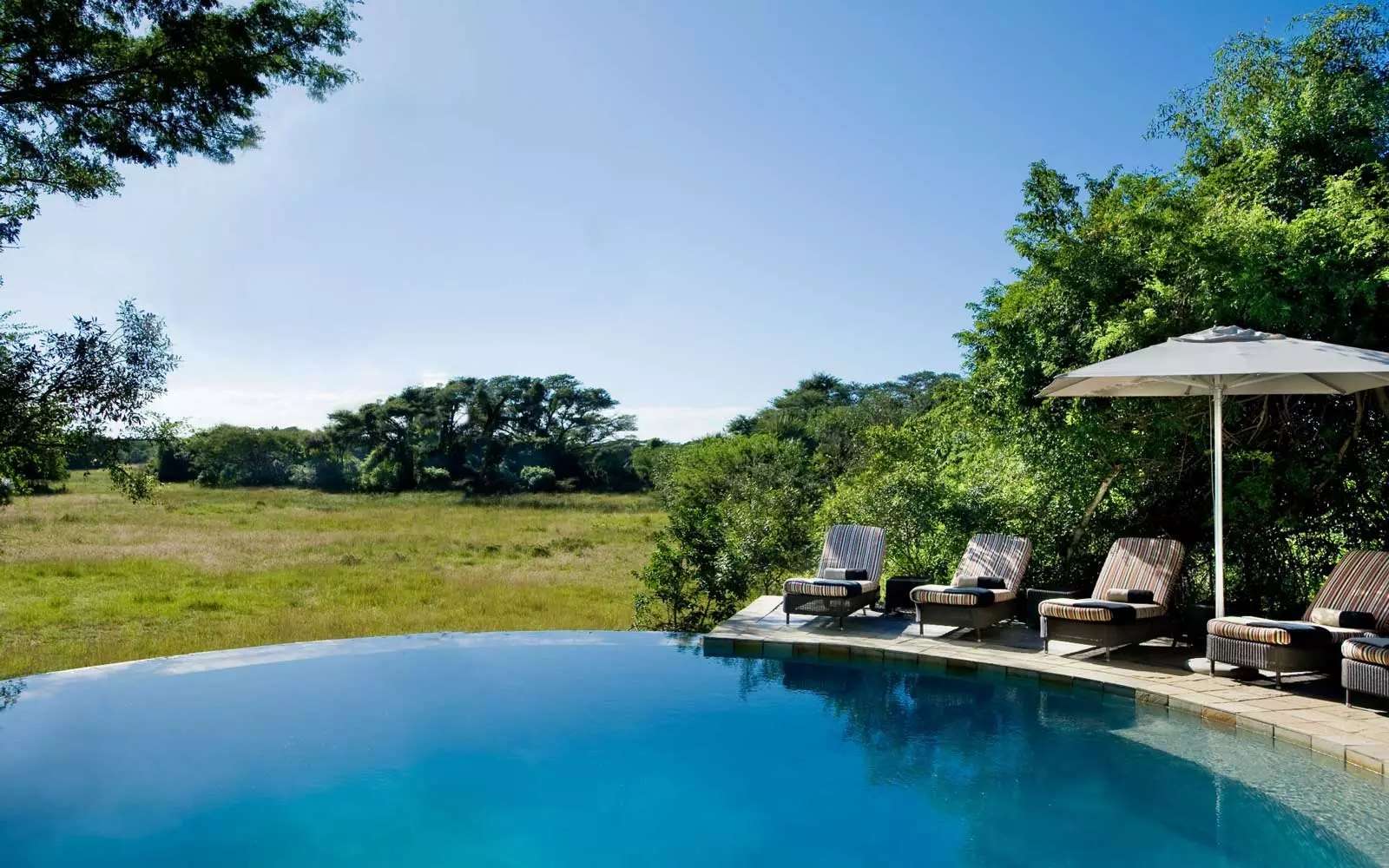 anBeyond Phinda Forest Lodge, Lafrik di sid