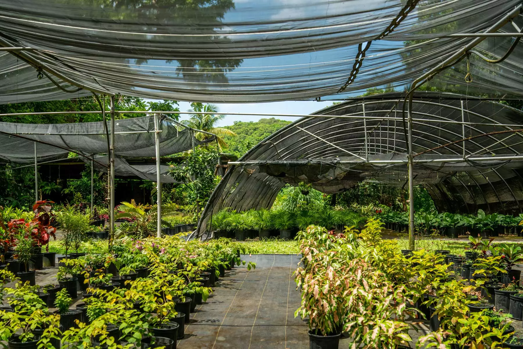 A Jade Mountain festői kilátása az óceánra, a farmra és az építészetre