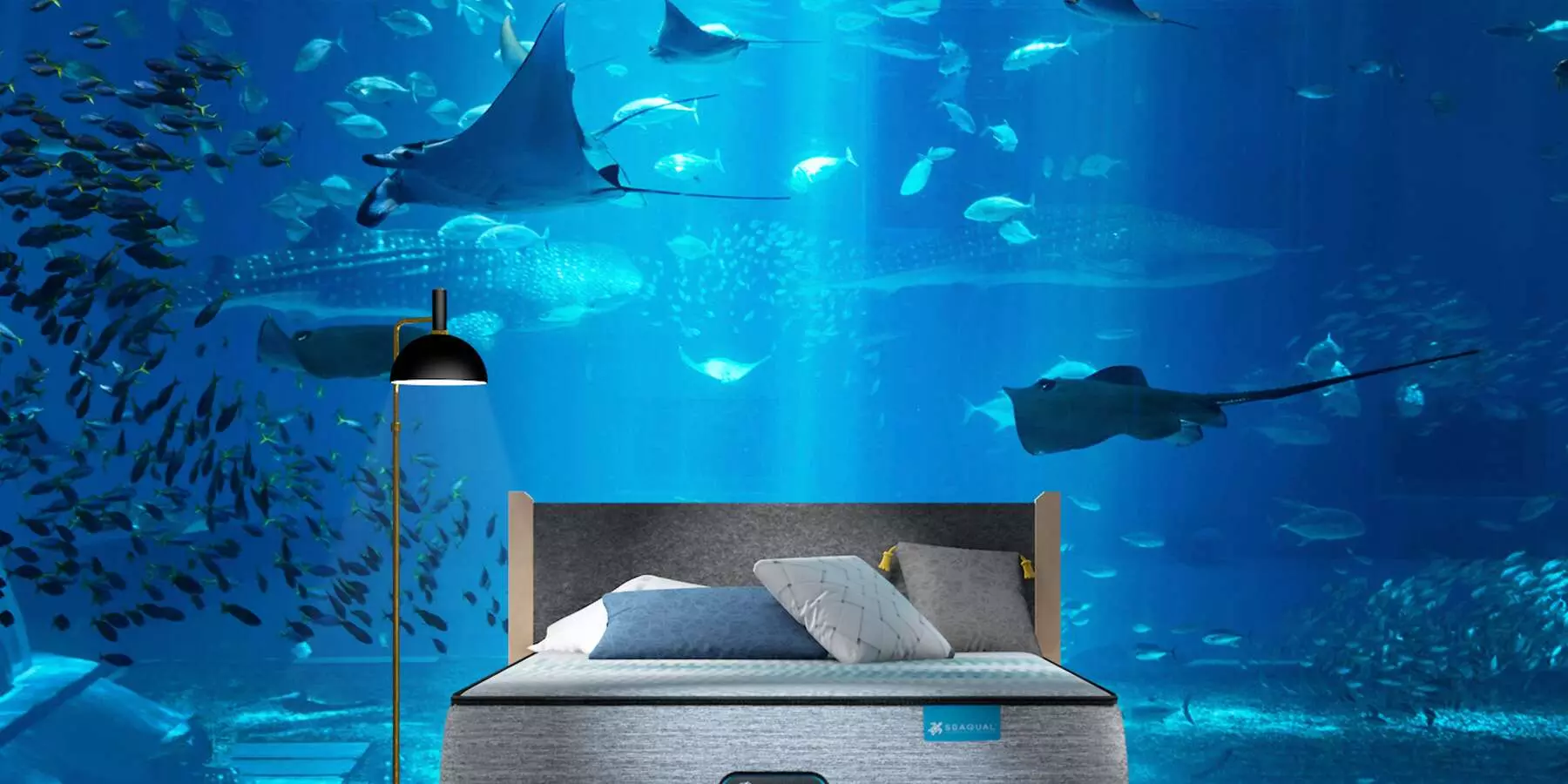 Акваријум на Лонг Ајленду ће вам омогућити да проведете ноћ сами под морем и одете на приватно роњење ајкула