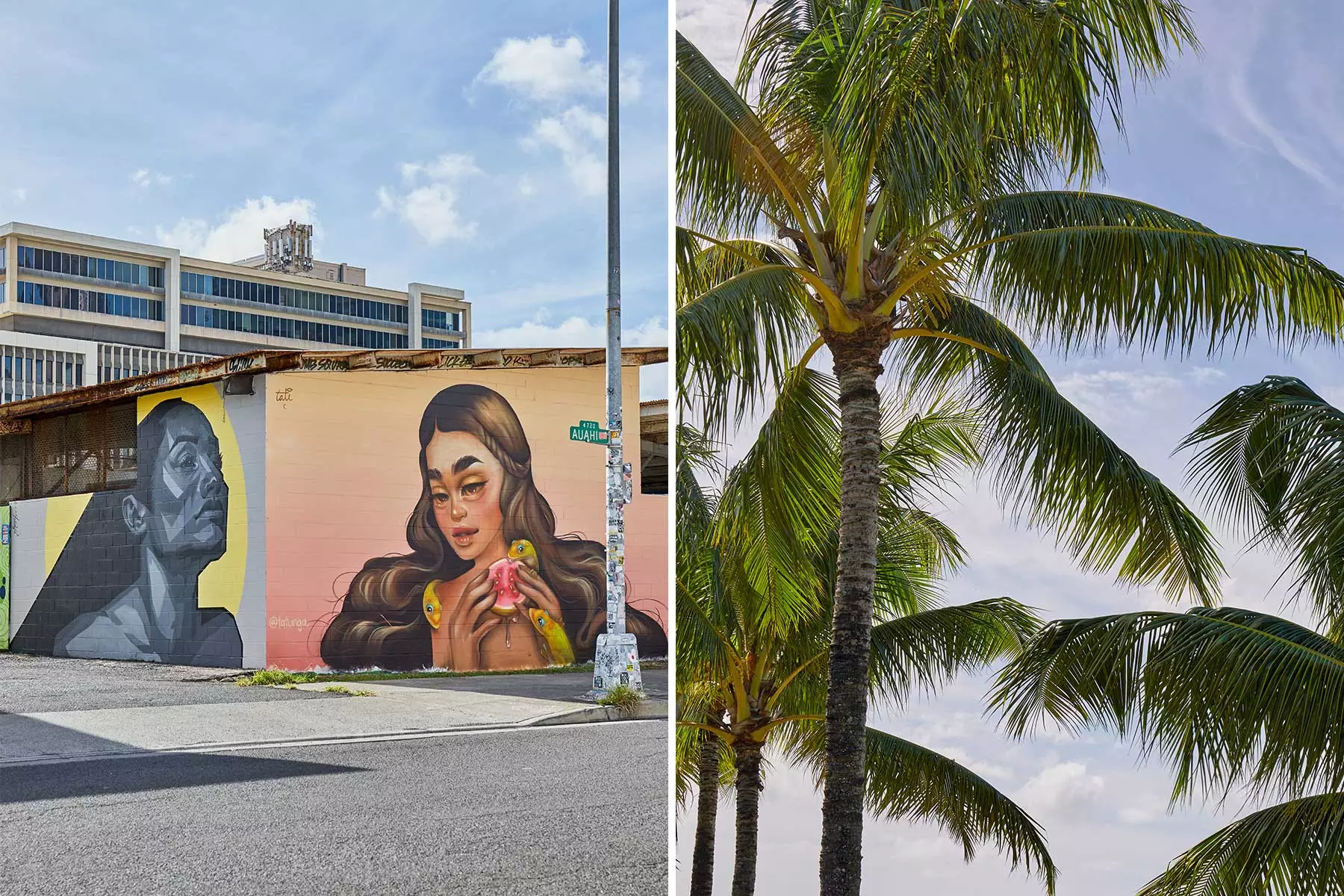 Foto, der viser street art i Waikiki, Hawaii parret med et detaljeret foto af palmer på stranden