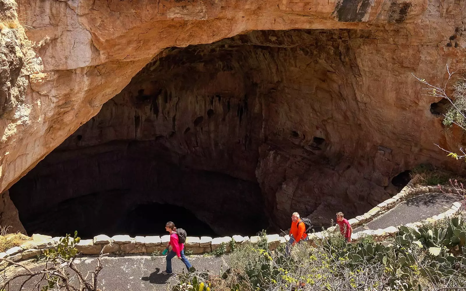 ឧទ្យានជាតិ Carlsbad Caverns រដ្ឋ New Mexico