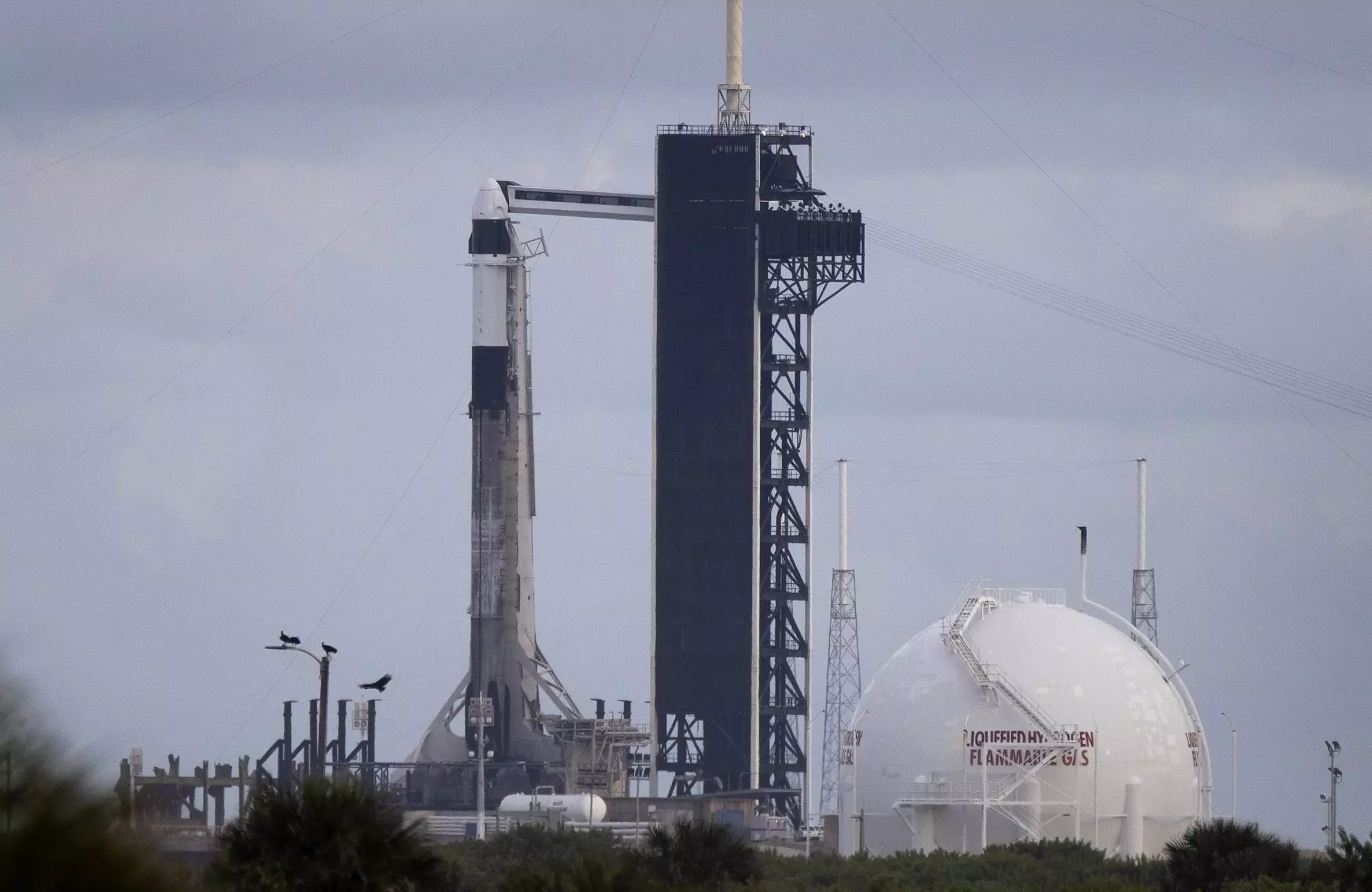 Die SpaceX Falcon 9-vuurpyl en Crew Dragon-kapsule