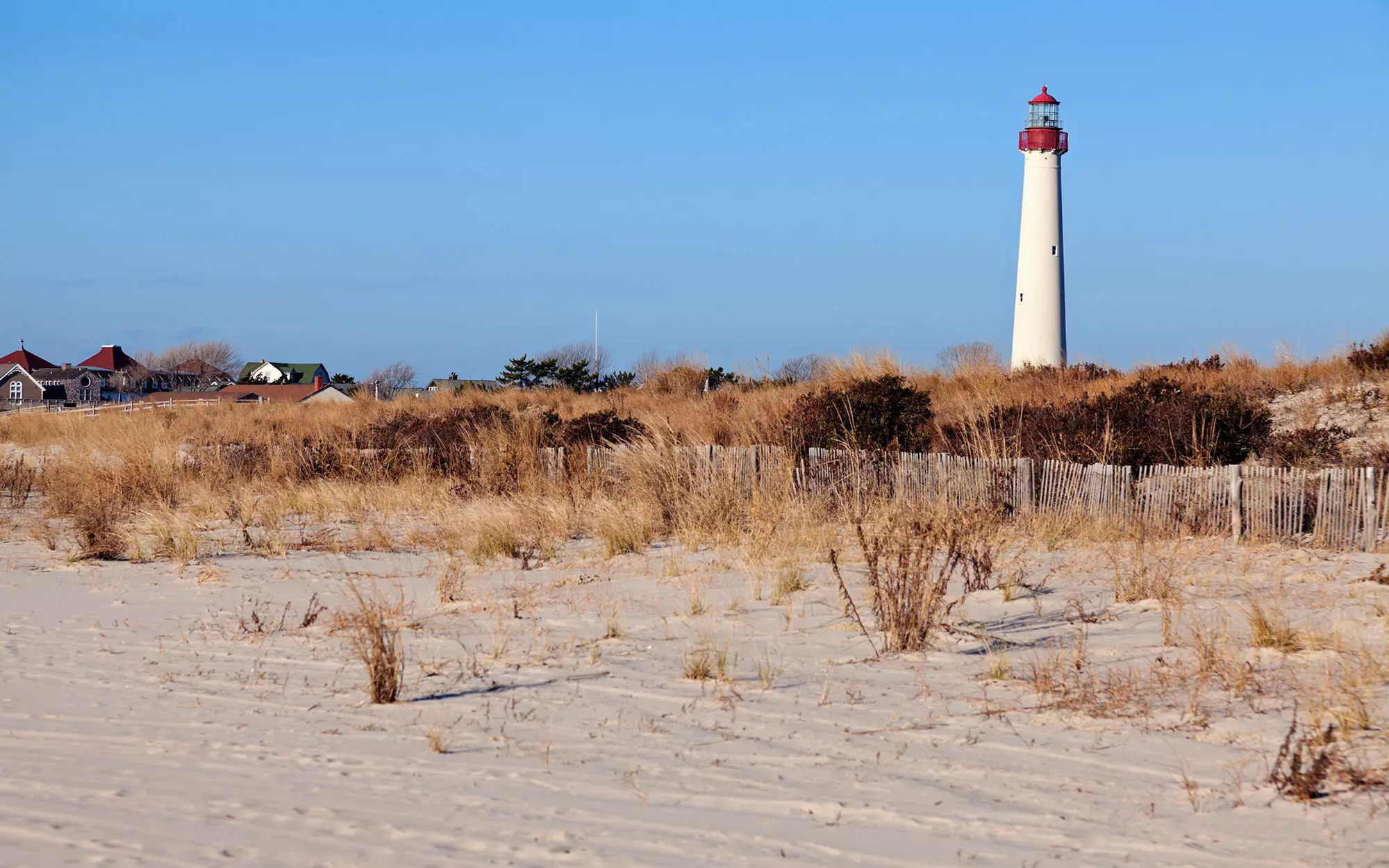 higbee beach cape maj