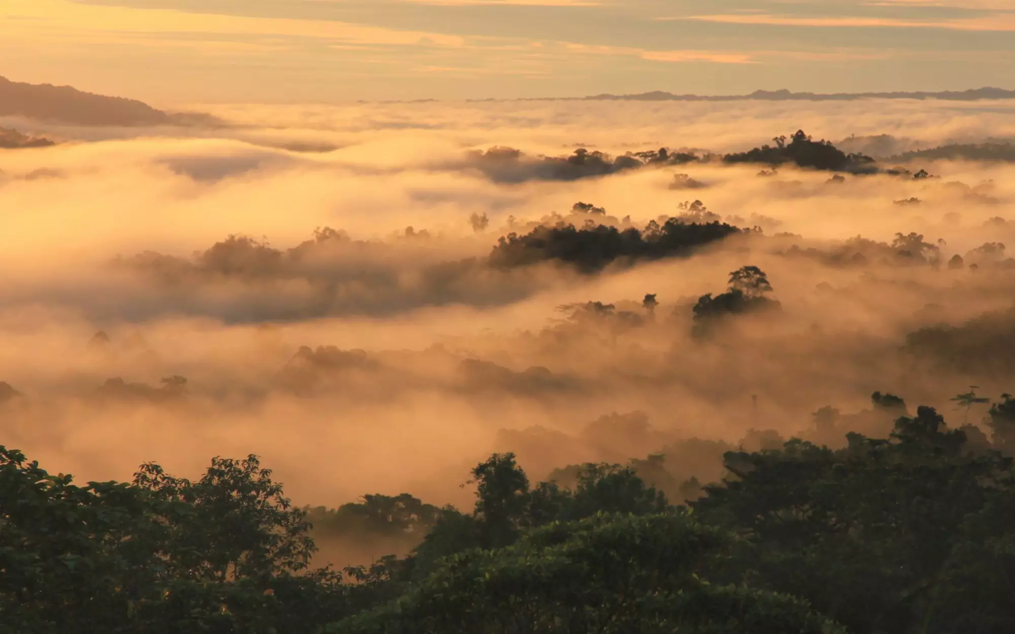 Papúa Nova Guinea