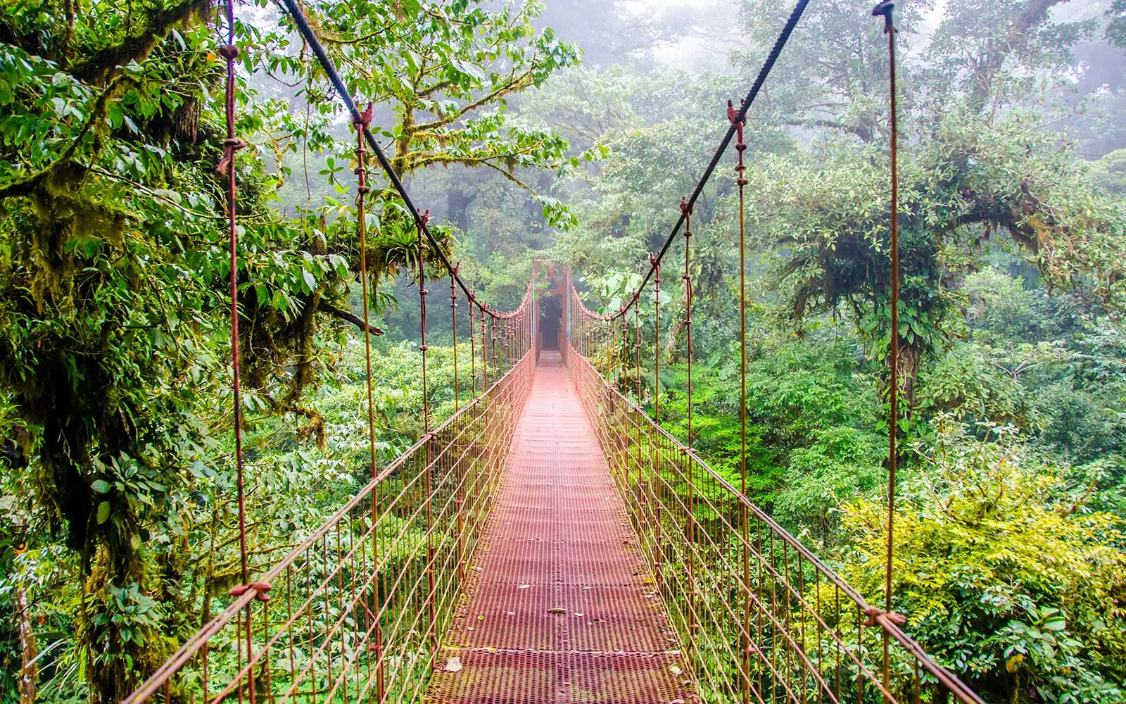 ലോകമെമ്പാടുമുള്ള അതിശയകരമായ കാൽനടയാത്രകൾ