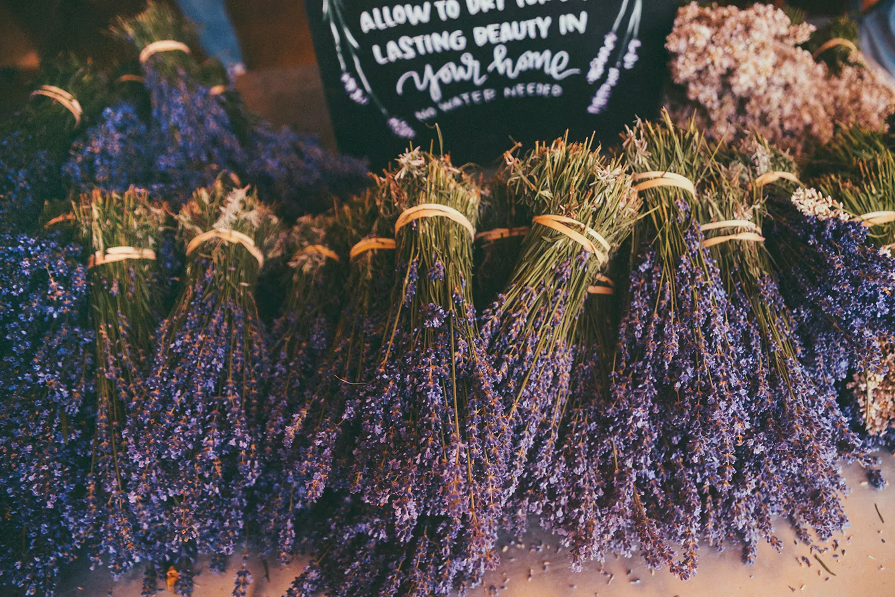 Verse lavendel bij een boerenkraam bij Lavender By The Bay