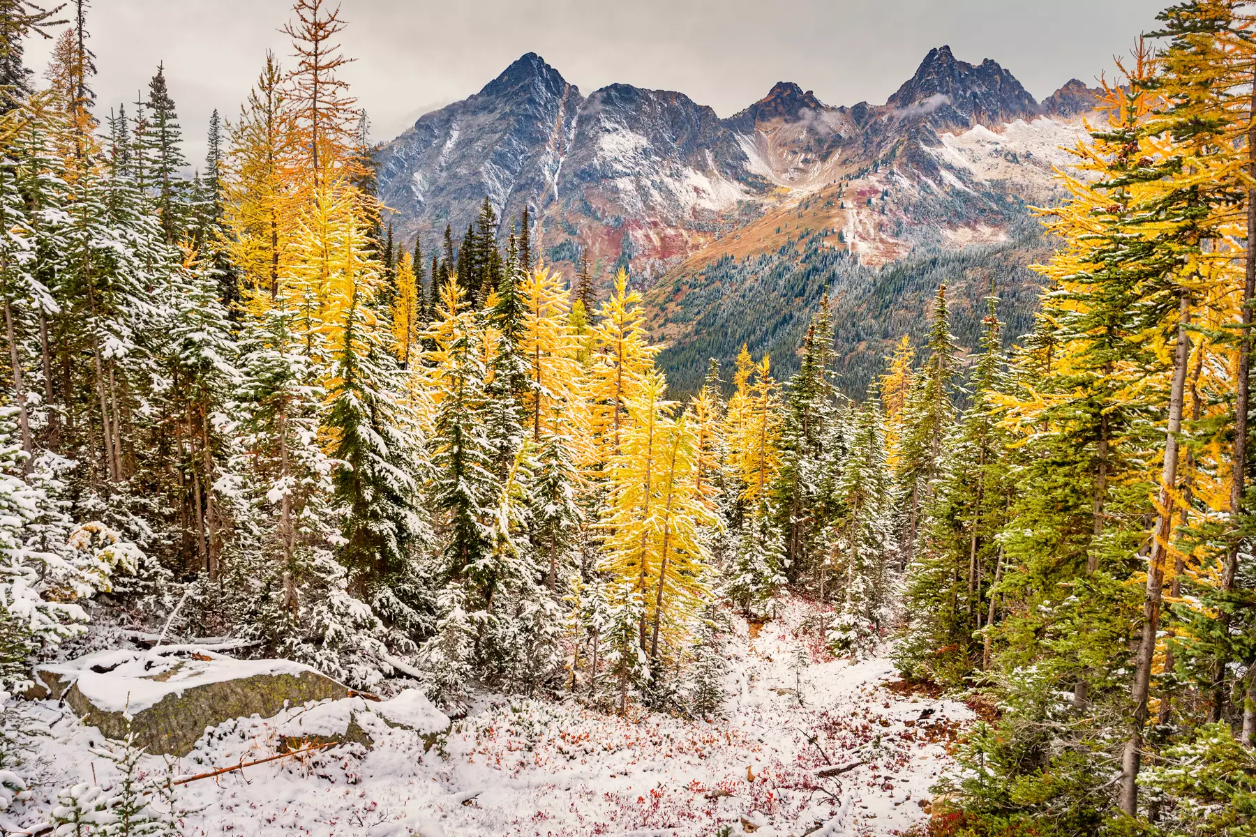 North Cascades National Park, staten Washington om vinteren