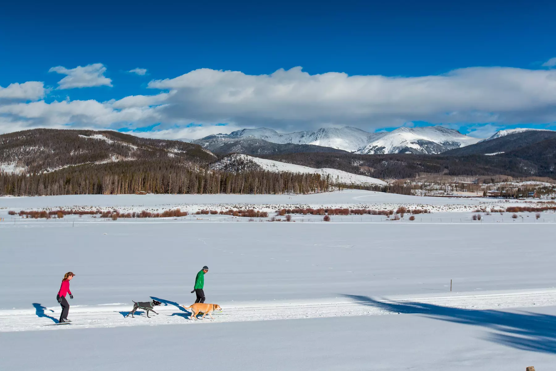 Colorado Cross Country Skiing