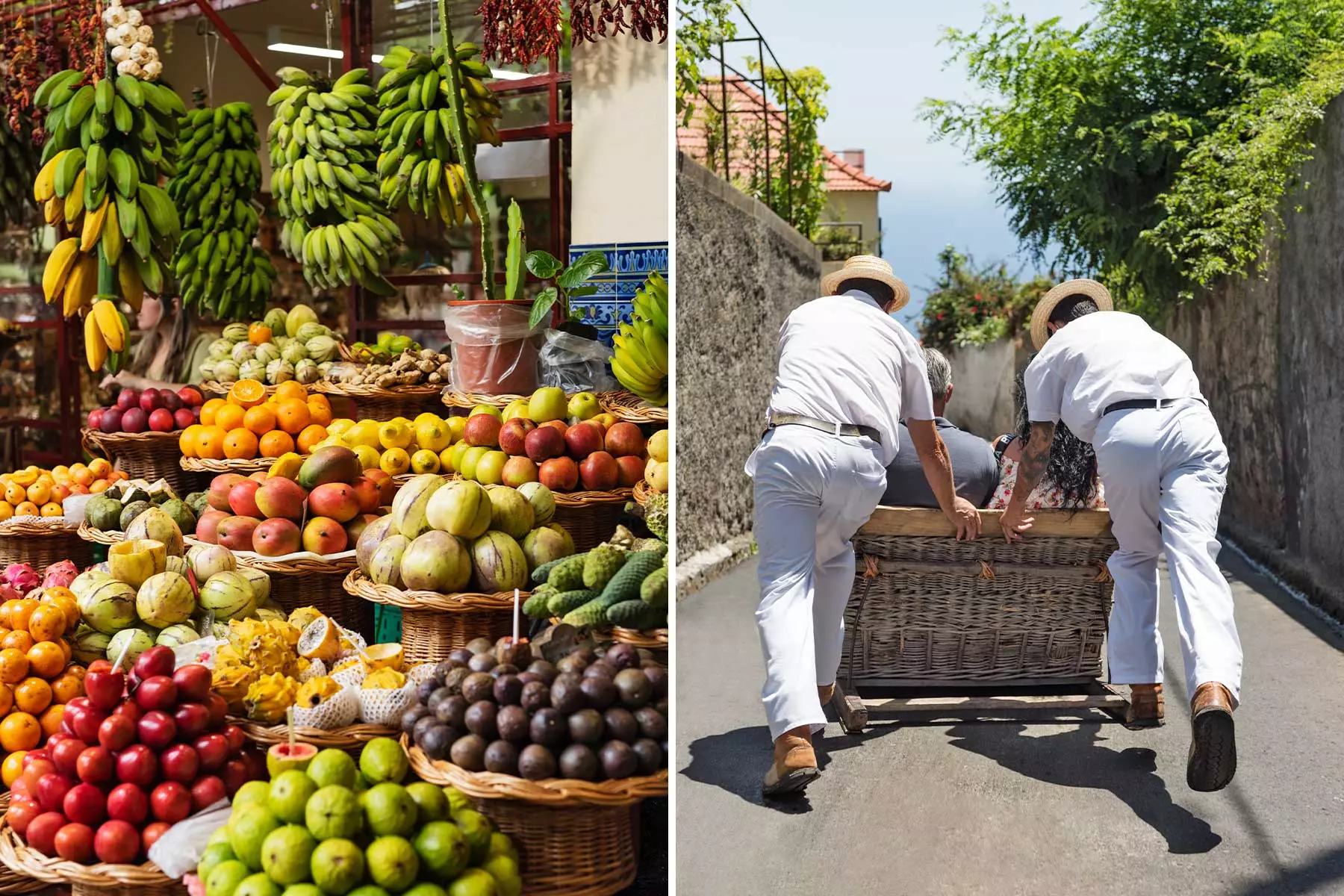 Fotografie z Madeiry, včetně ovoce na prodej na trhu, a ikon ostrova s lidským pohonem saní