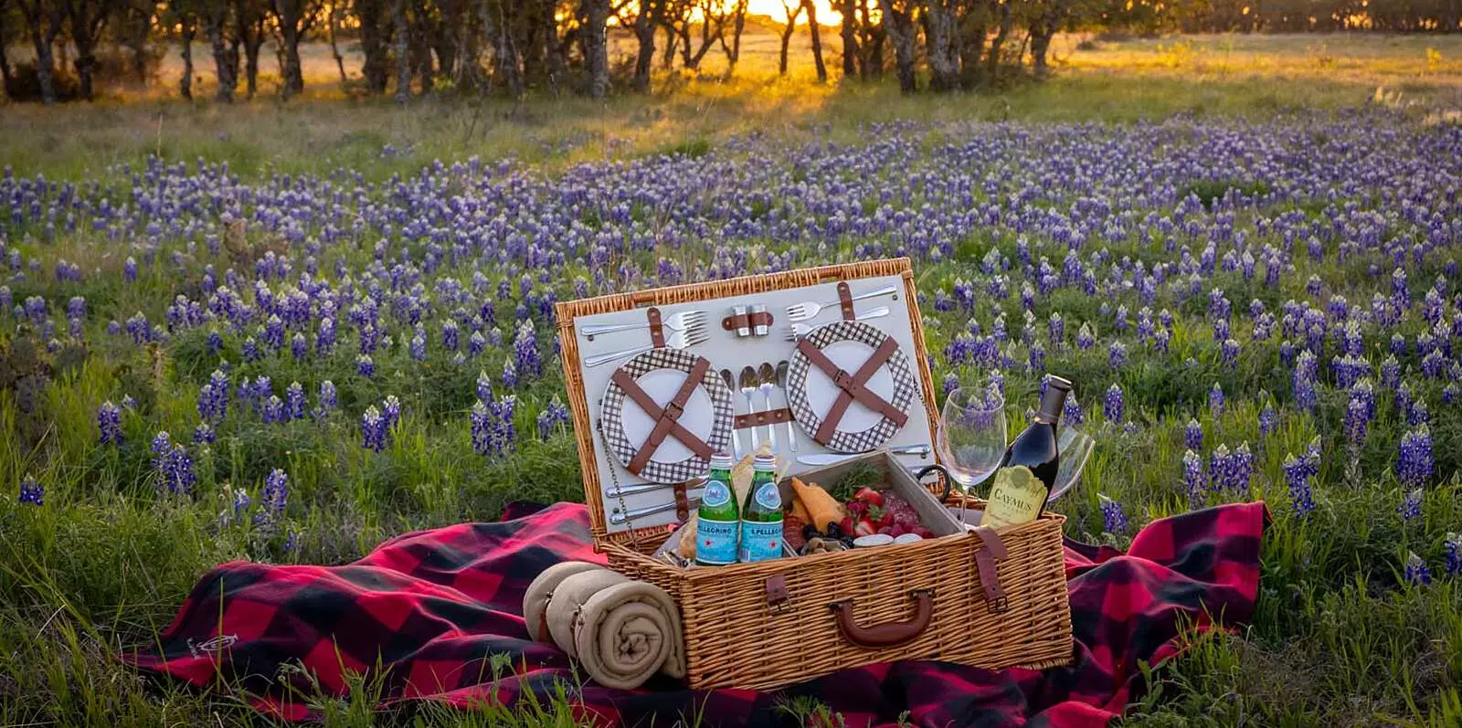 The Luxury JL Bar Ranch Resort i Texas tilbyr spesialtilbud for Bluebonnet-sesongen