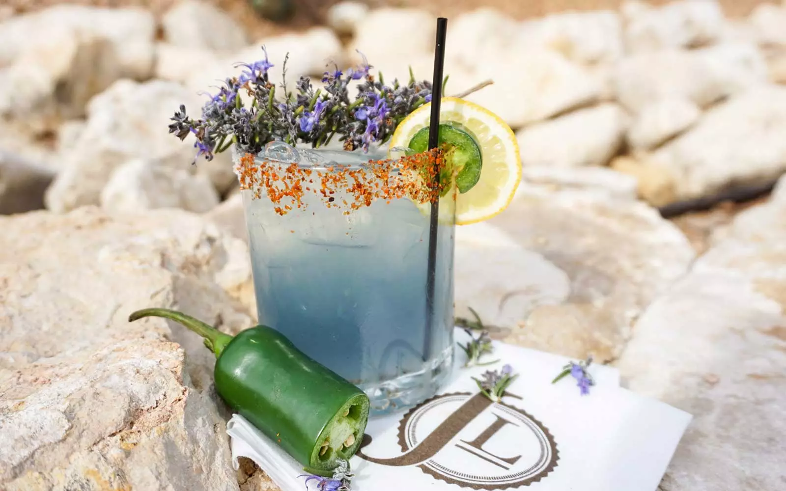 Pengalaman Bluebonnet di JL Bar Ranch Resort & Spa di Texas