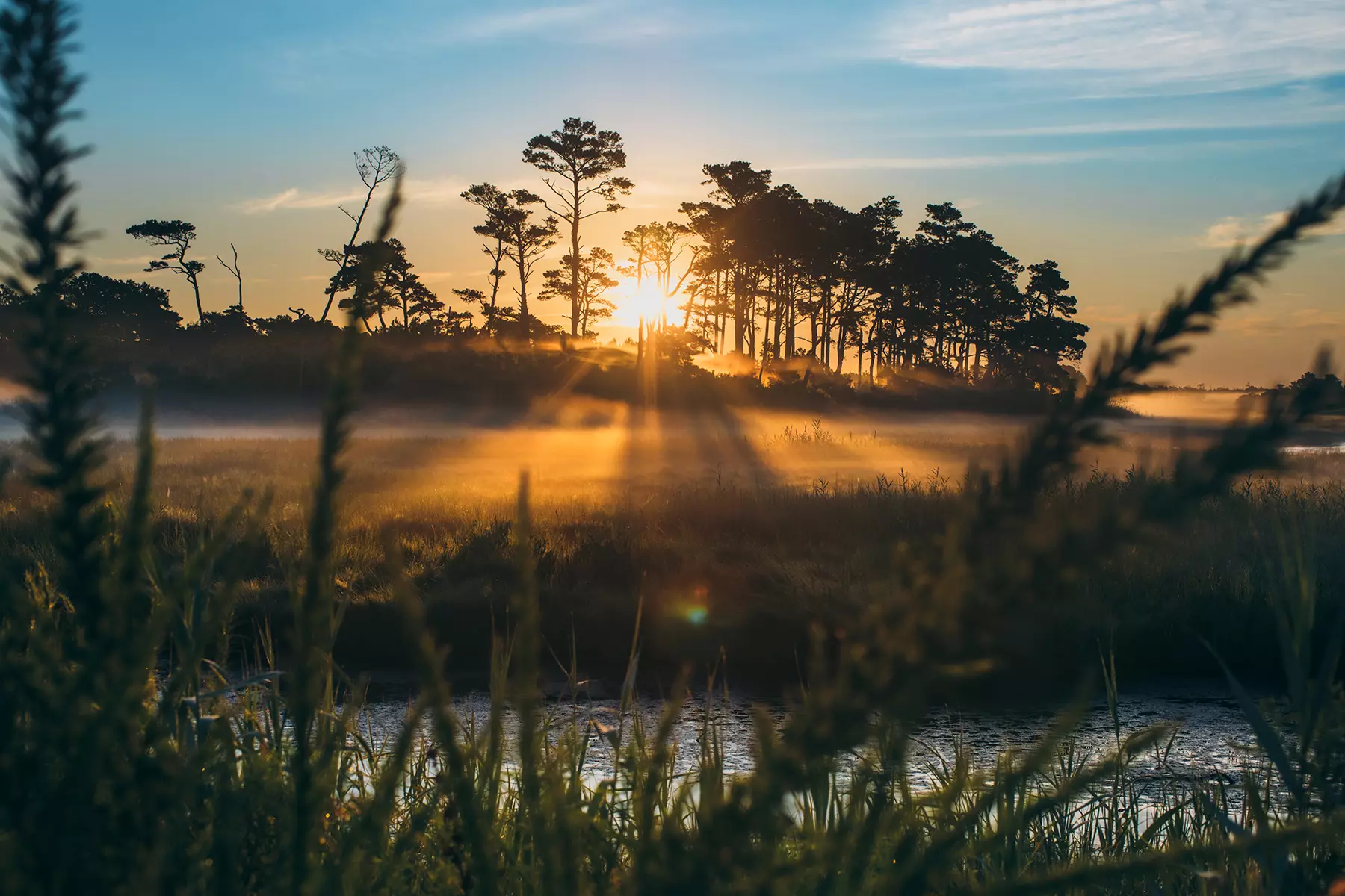 Auringonnousu Chincoteague National Wildlife Refugessa leikkaa valonsäteitä matalan sumun läpi.