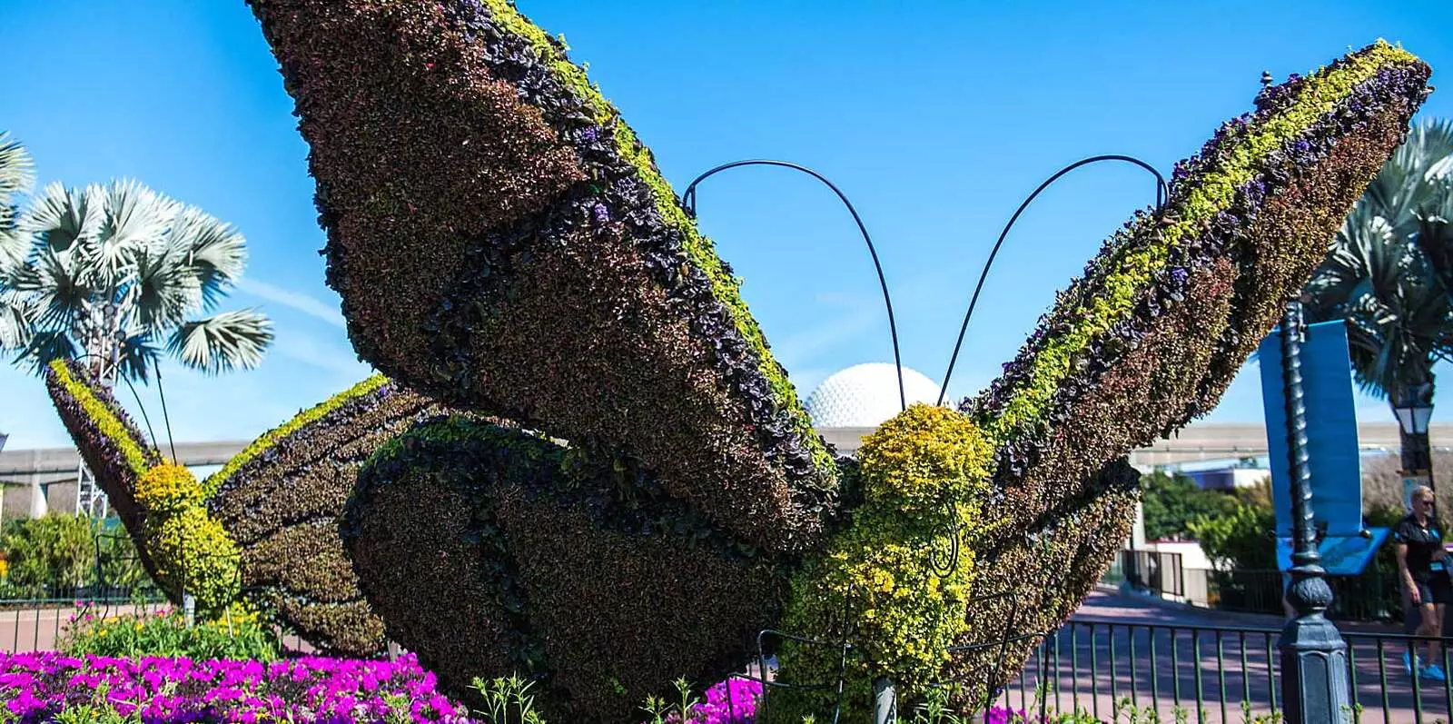 Alt du trenger å vite om Epcot Flower and Garden Festival 2020