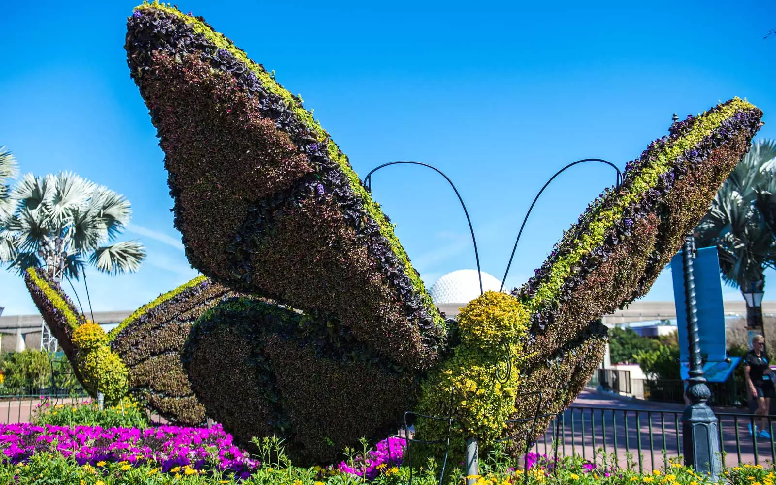 I-Epcot's Flower and Garden Festival