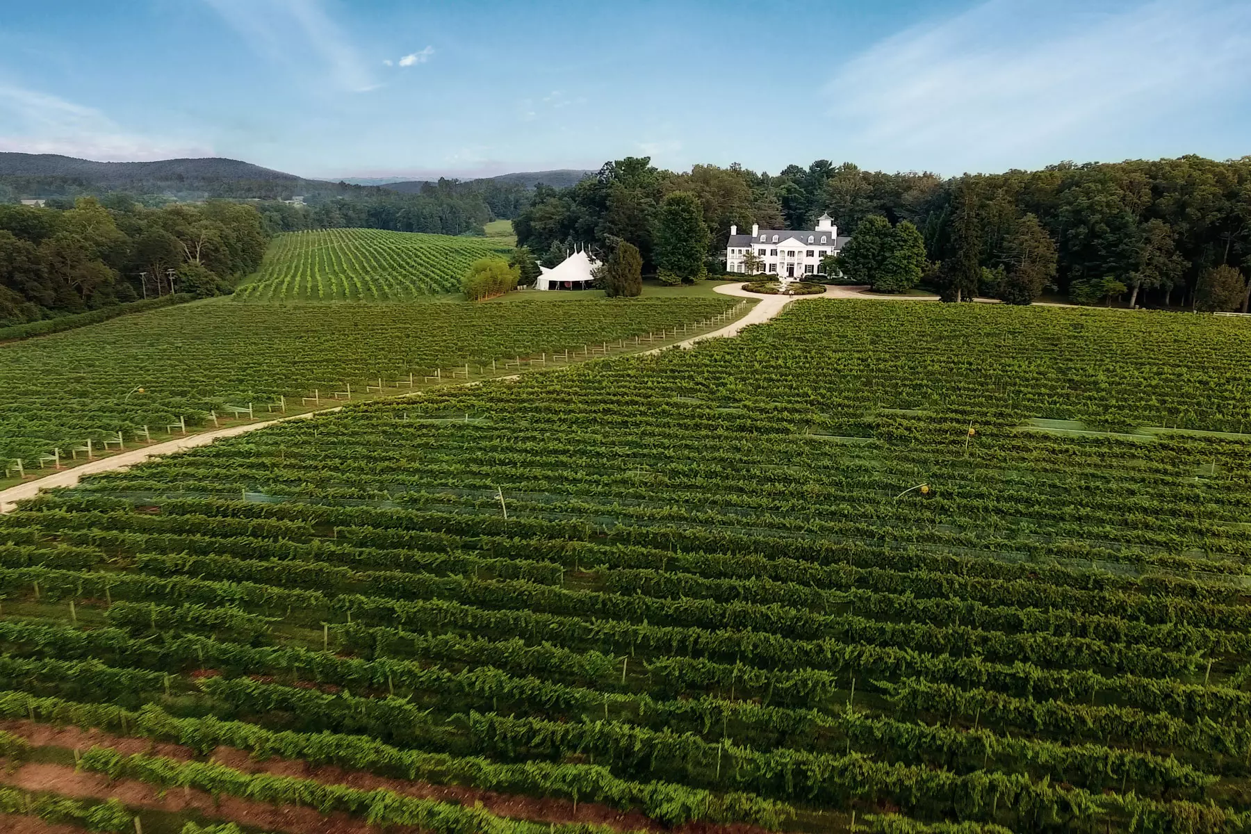 Vista aérea de Keswick Vineyards con casa branca na distancia