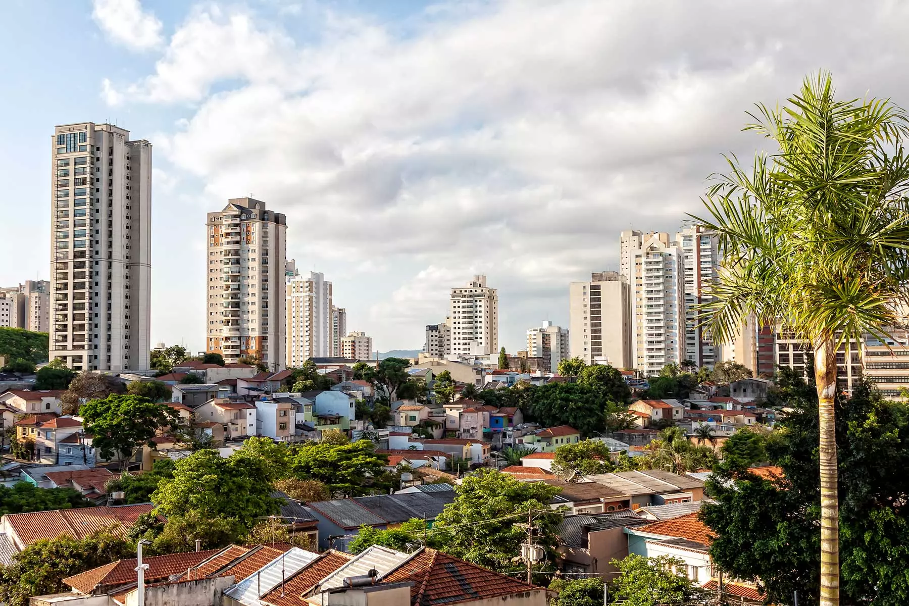 Sab hnub poob ntawm Sao Paulo, Perdizes zej zog