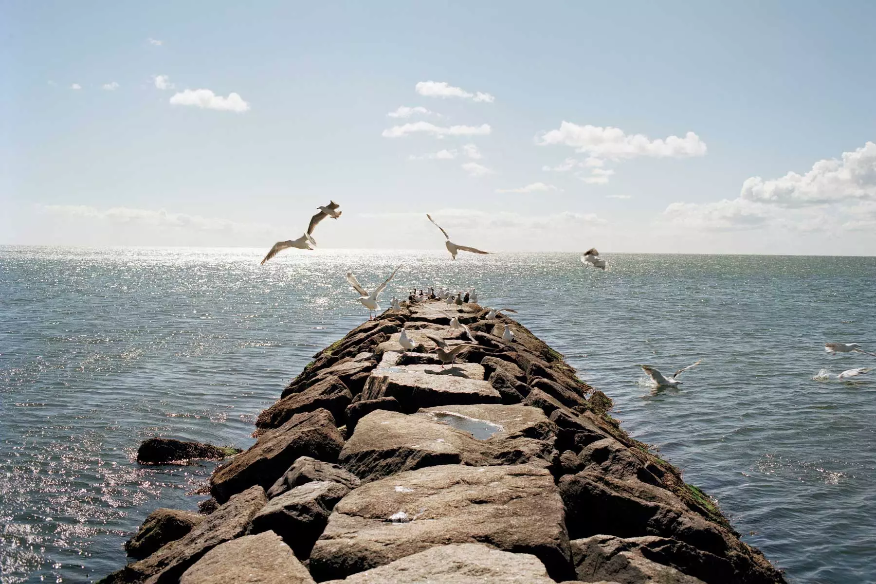 Scape del mare di Cape Cod