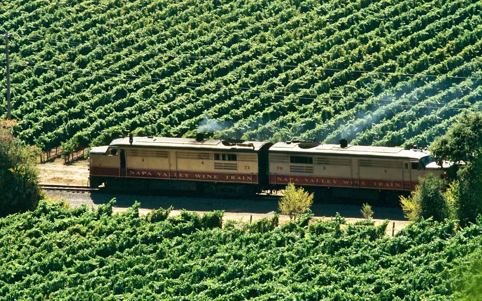 Tren del Vino, Valle de Napa, California