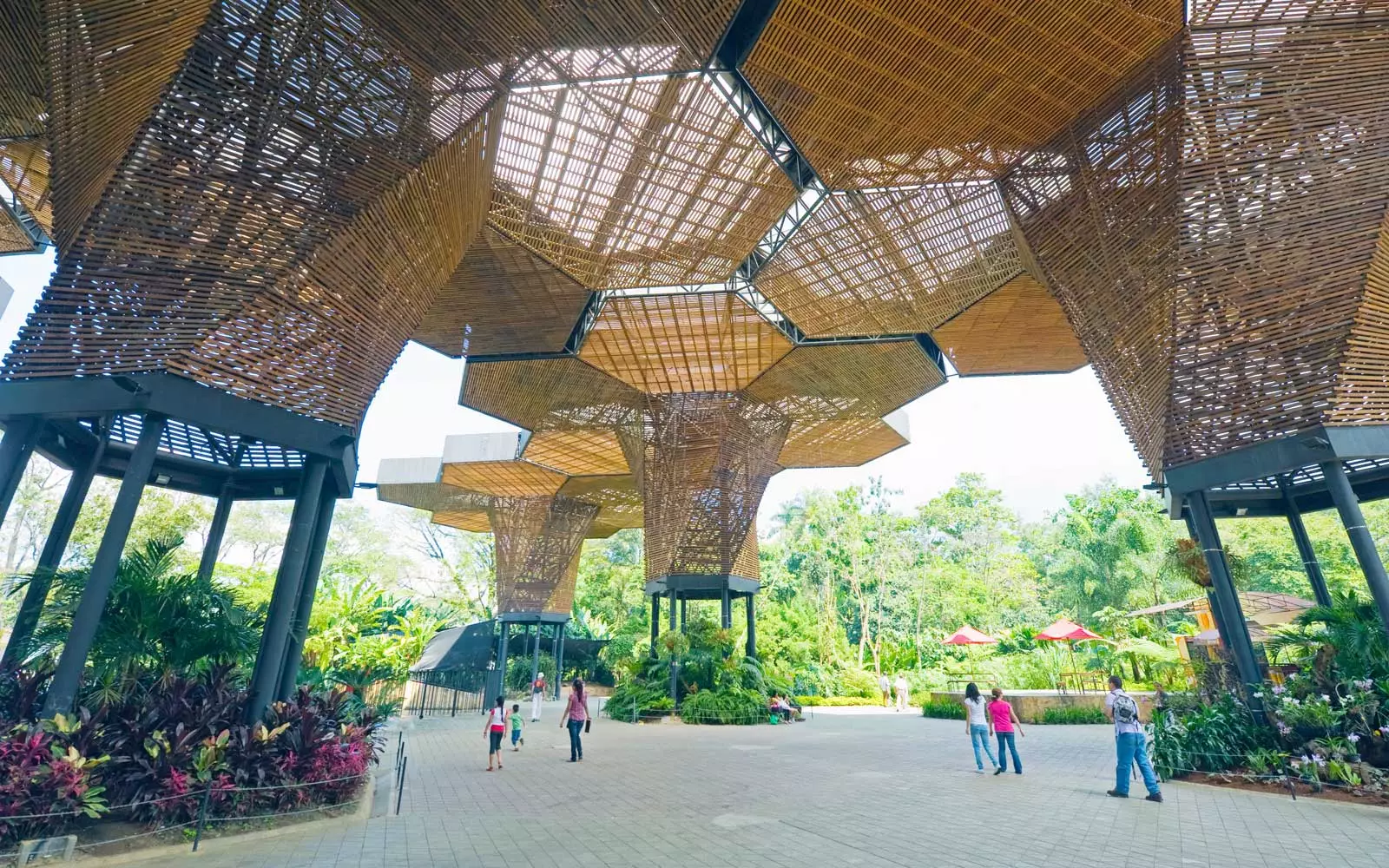 Joaquin Antonio Uribe Botanical Gardens, Medellin, Colombia