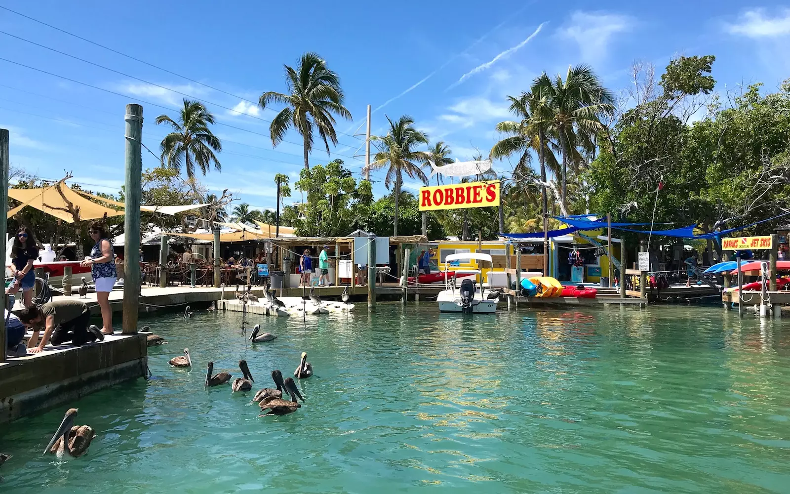 robbies-islamorada-florida-açarları