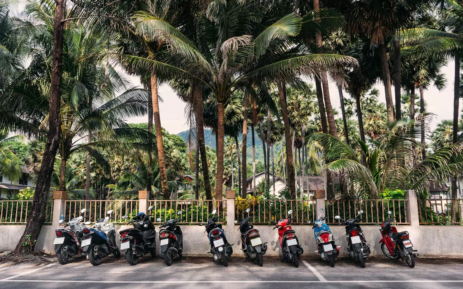 Scooters, Phuket, Thailand