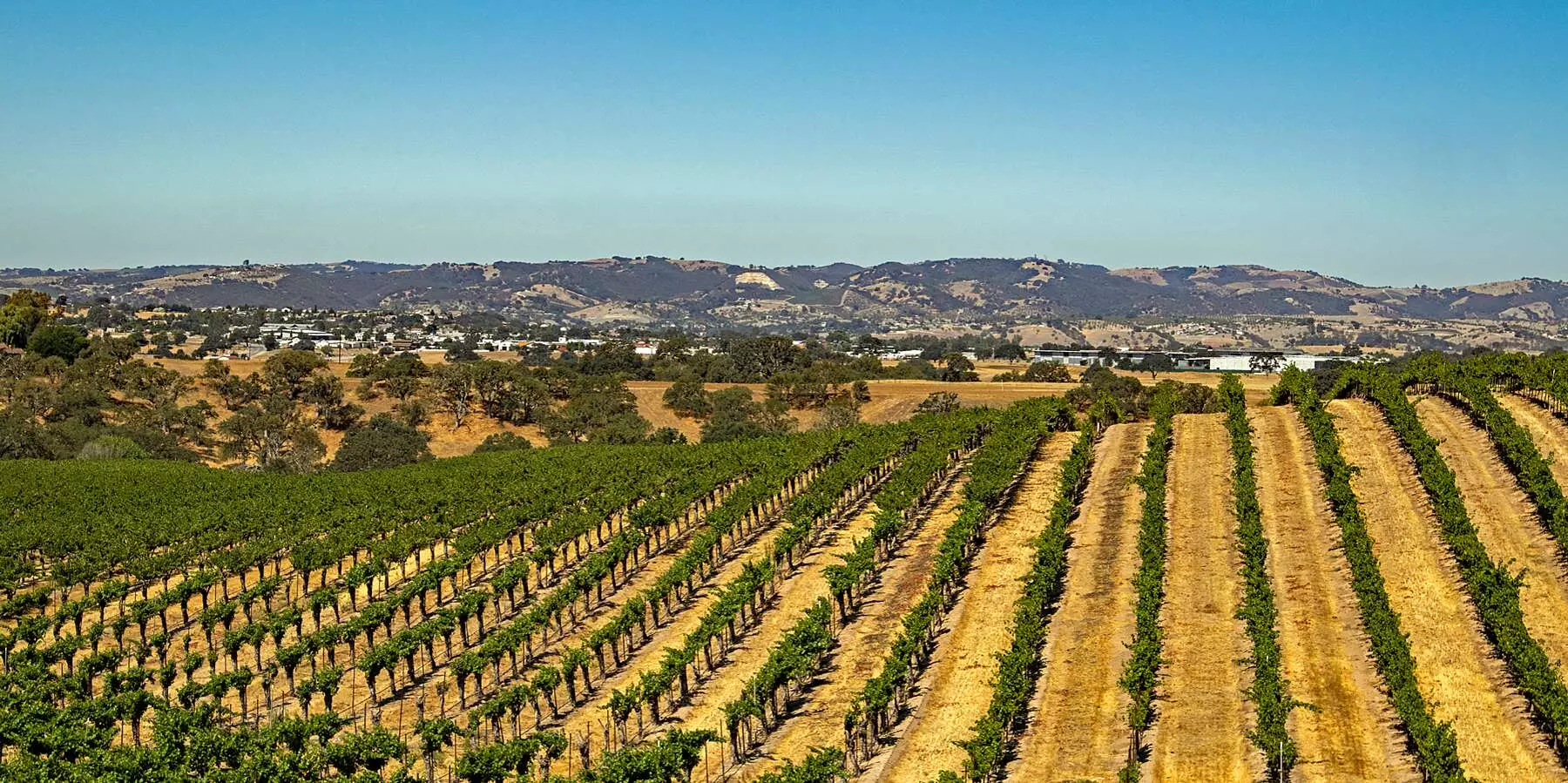 Qytetet e vogla më të mira të SHBA për t'u vizituar me tren - nga Kalifornia Wine Country në Luginën Hudson të Nju Jorkut