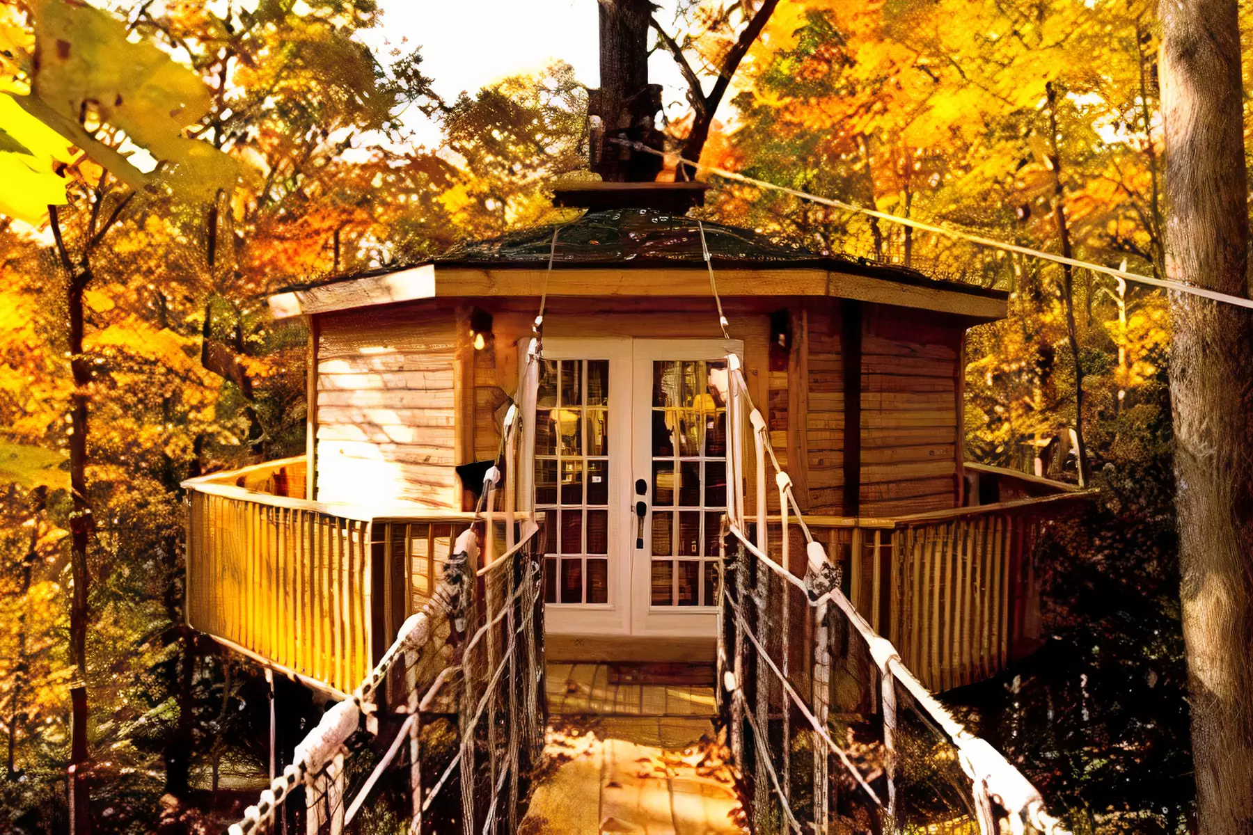 Dibadda Kirada Guriga Tree House ee Kaynta ee u dhow Beckley, West Virginia