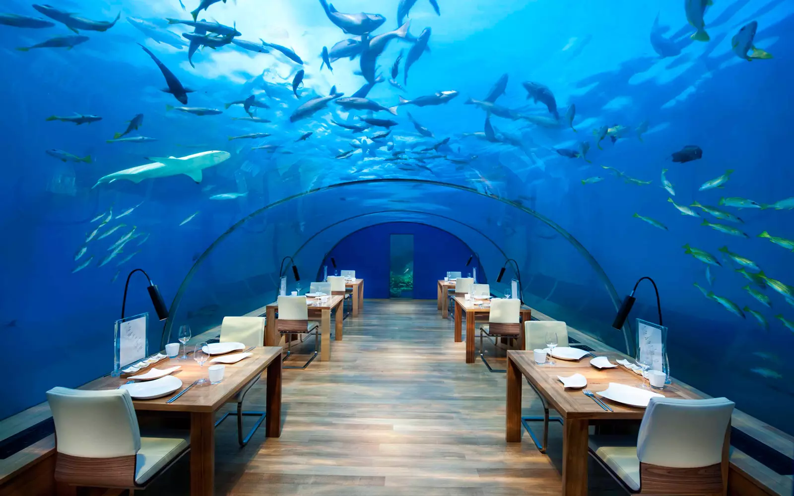 Ithaa Underwater Dining โรงแรมคอนราด มัลดีฟส์