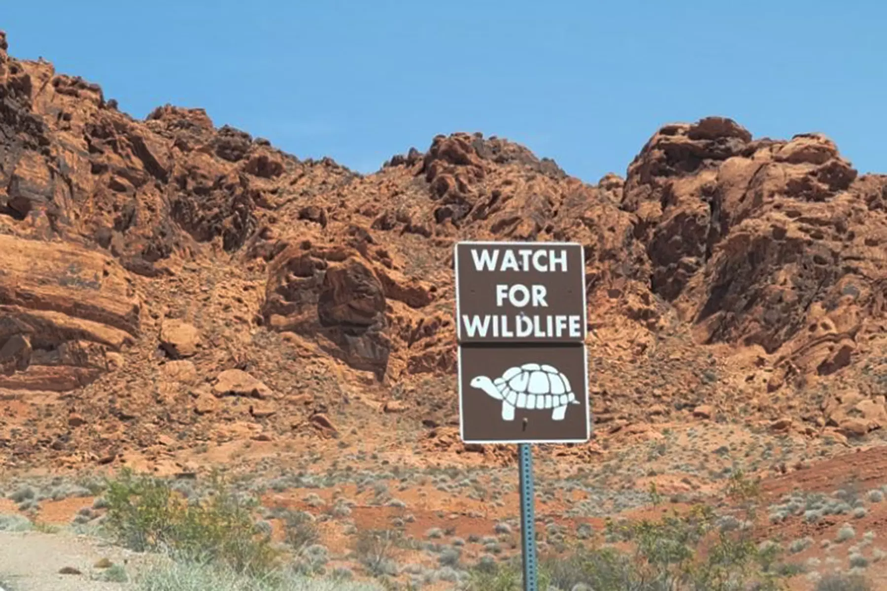 تابلوی عبور حیات وحش در پارک ایالتی Valley of Fire