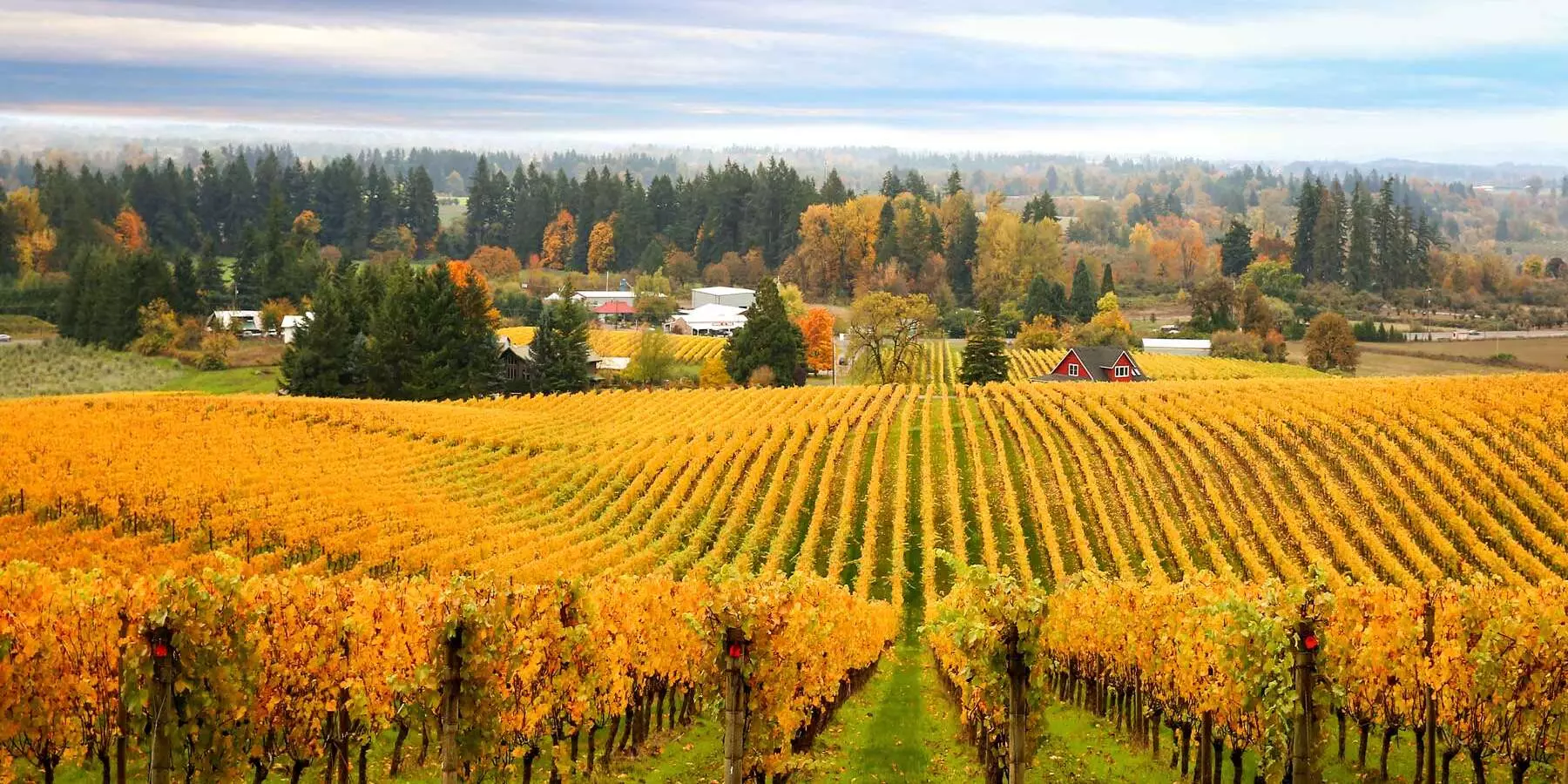 Une visite de dégustation des meilleurs vins mousseux de l'Oregon