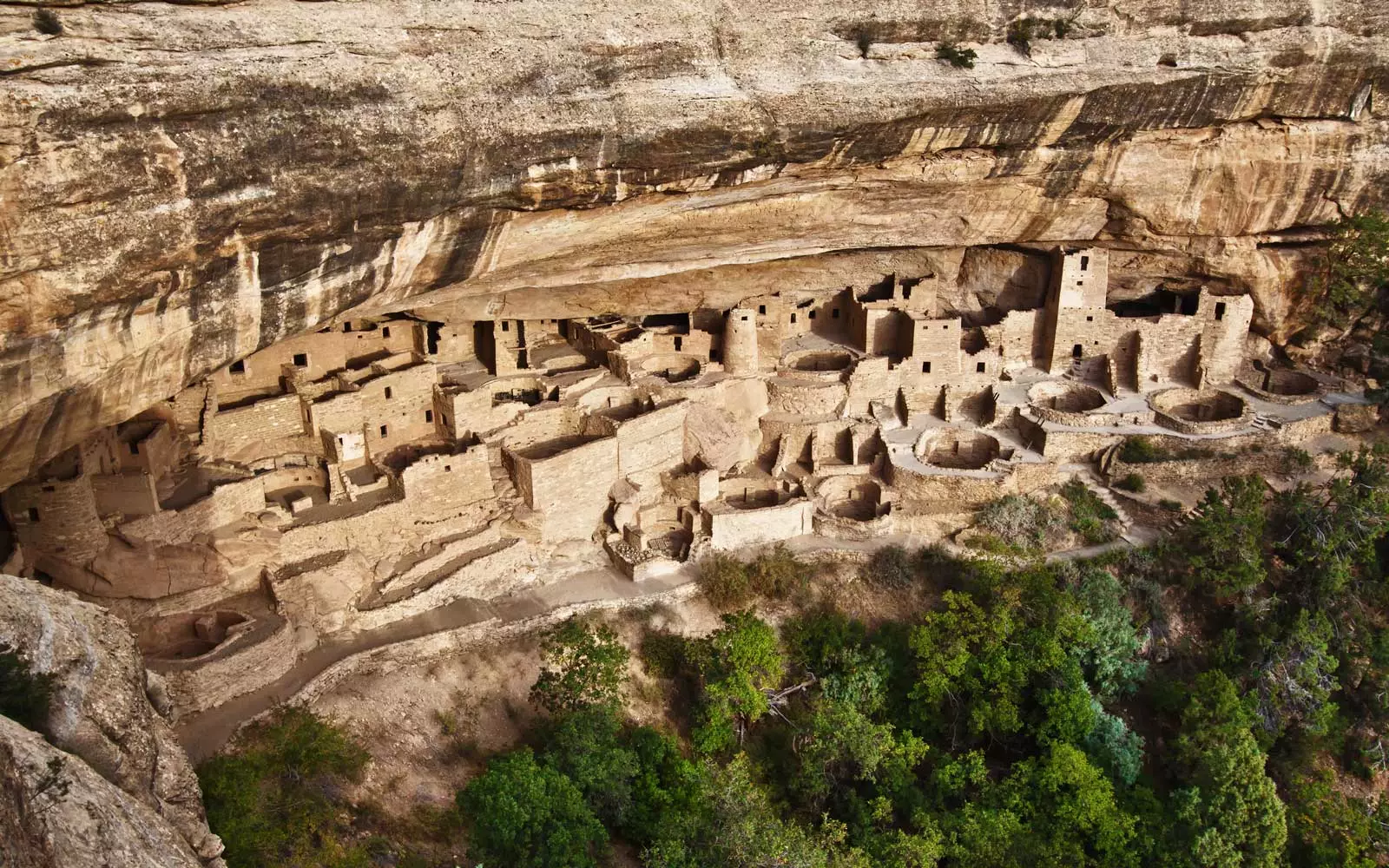 Vue sur le Cliff Palace dans le parc national de Mesa Verde, Colorado