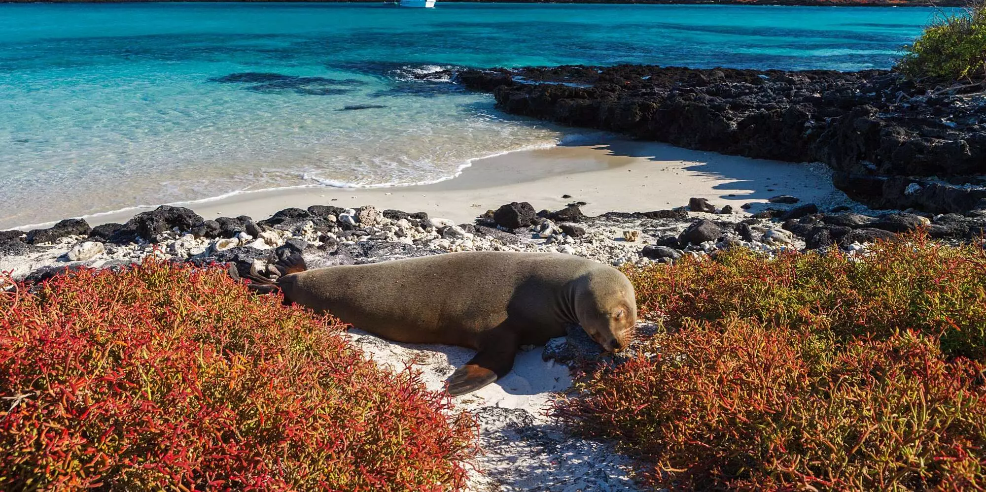 Îles du Mexique et d'Amérique centrale et du Sud : les meilleures au monde 2020