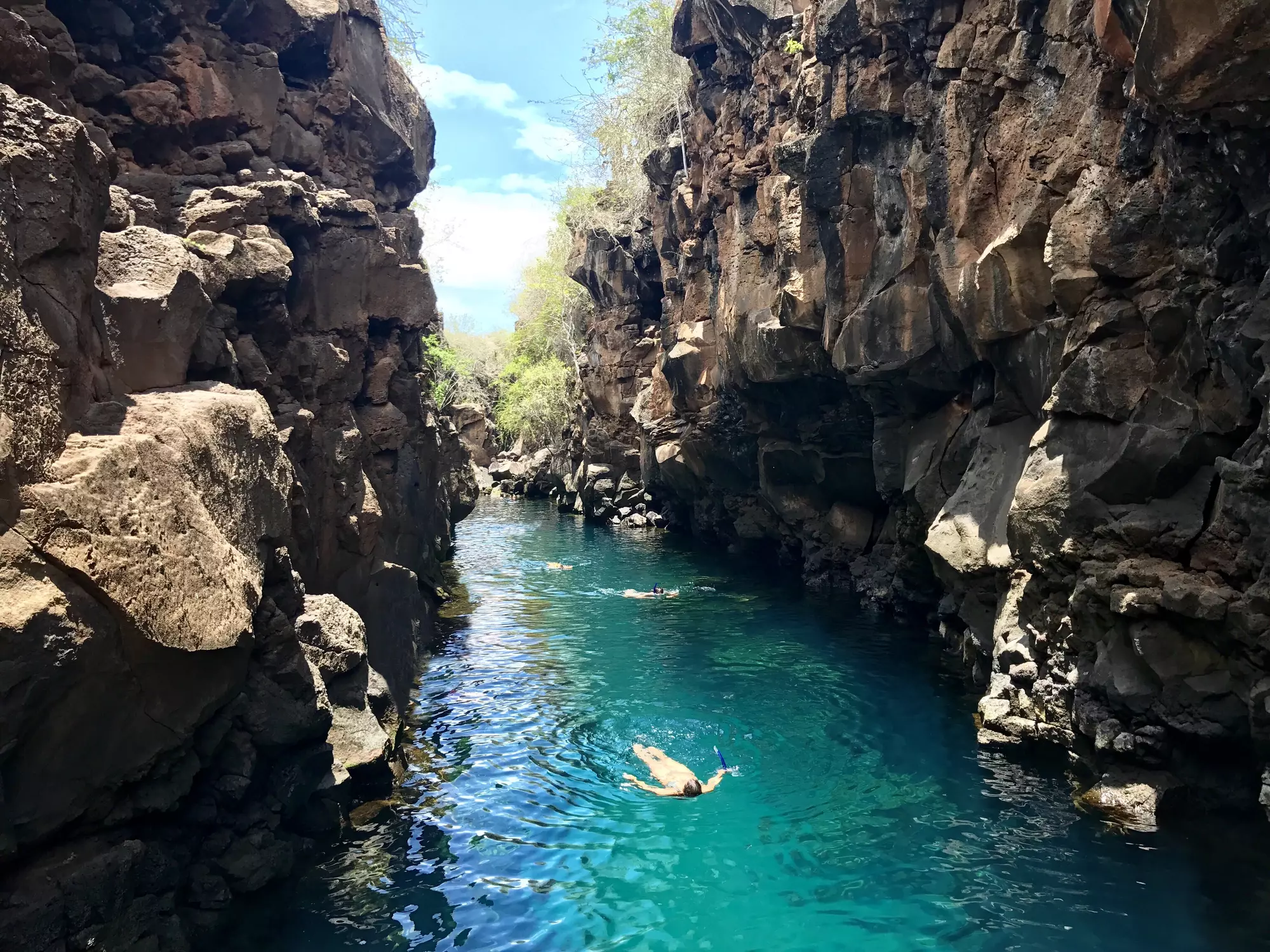 Wanita nglangi ing blumbang alam, Kepulauan Galapagos, Ekuador