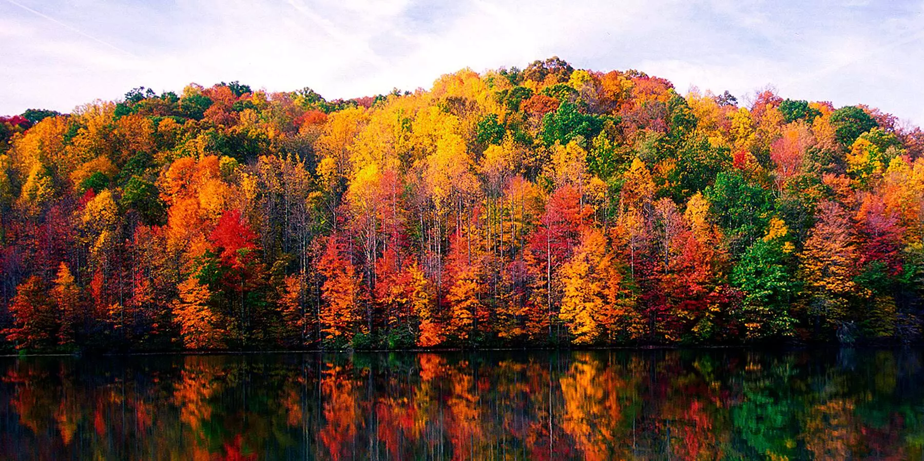 Mokhoa oa ho bona Makhasi a Fall a Molemo ka ho Fetisisa West Virginia