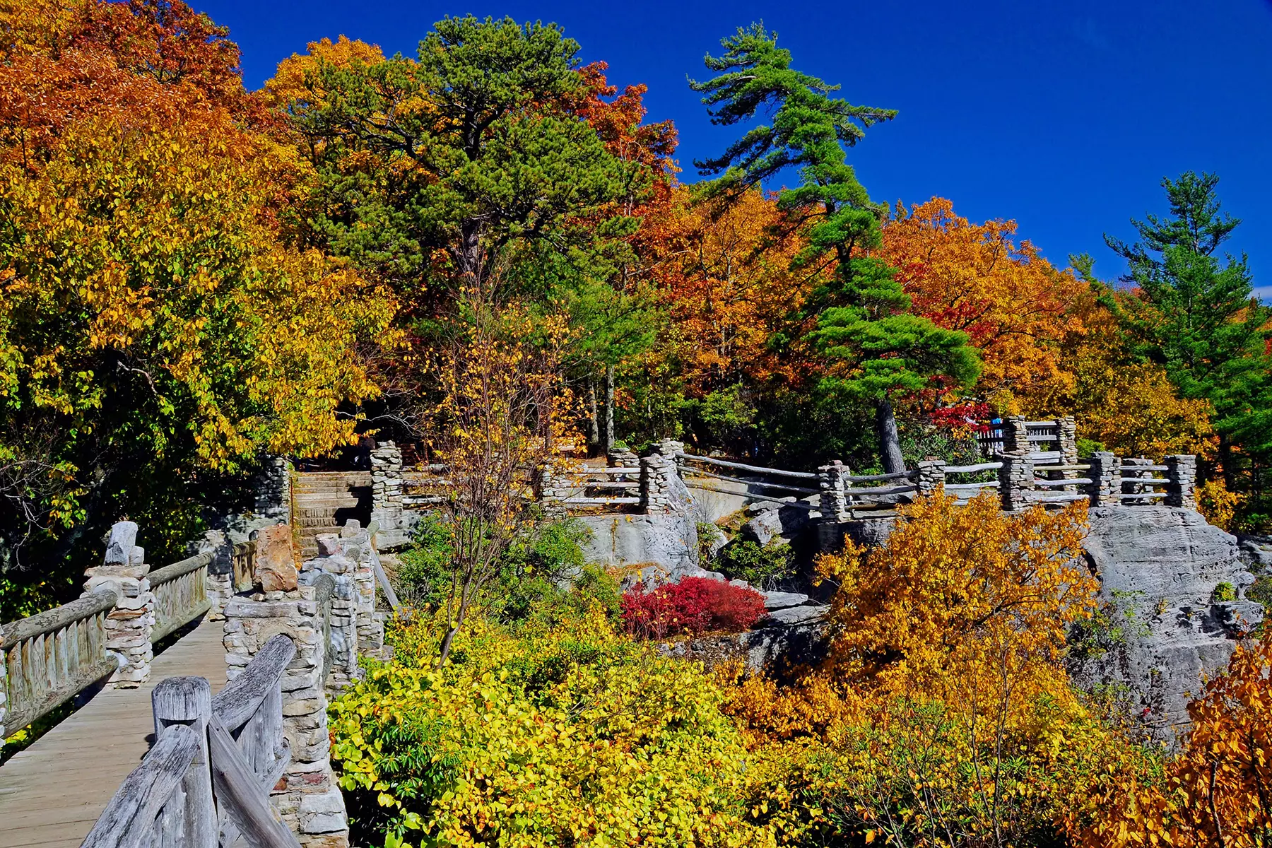 ស្ពានមួយនៅក្នុងព្រៃរដ្ឋ Coopers Rock