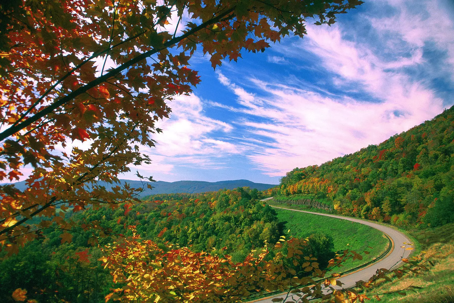 Autum View da Highland Scenic Highway Pocahontas County West Virginia