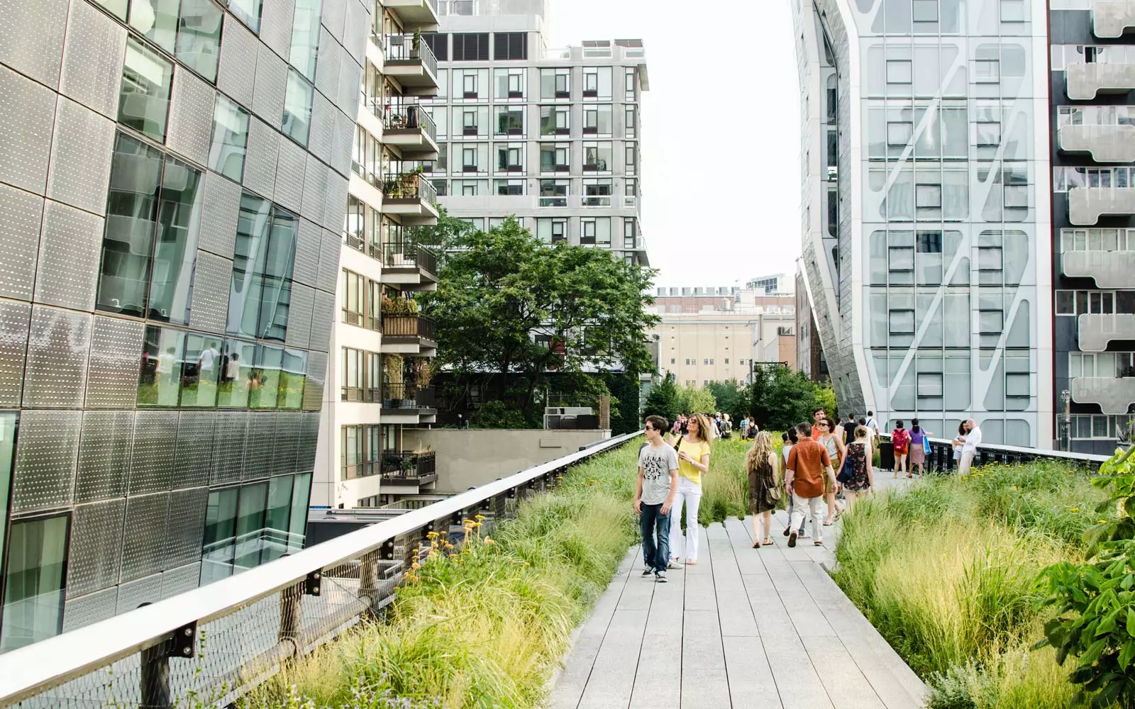 High Line Park da cidade de Nova York