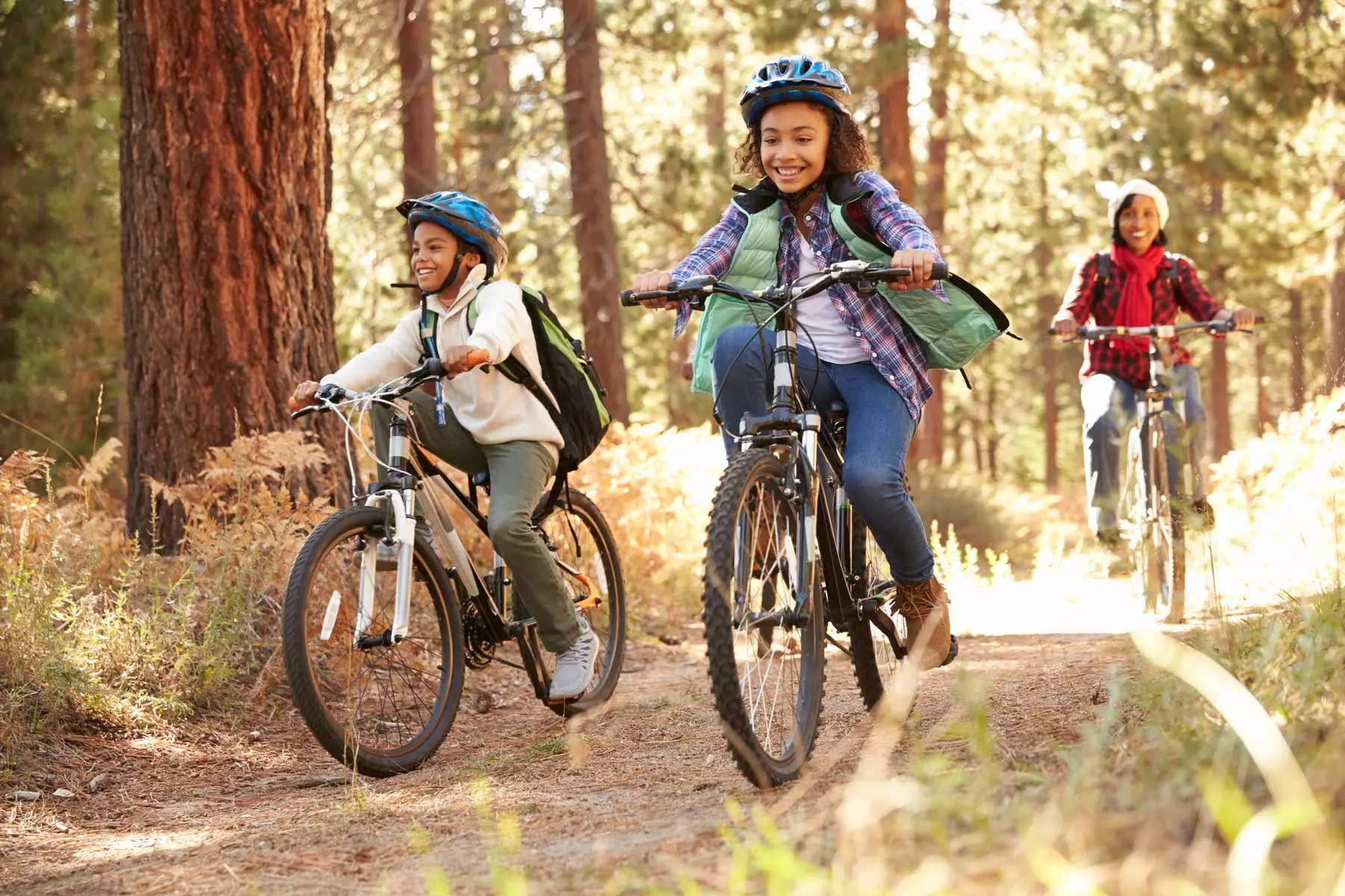 Dua anak dan seorang ibu bersepeda di jalan setapak di hutan, untuk mewakili tur bersama Thomson Family Adventures, terpilih sebagai salah satu Operator Tur terbaik dunia