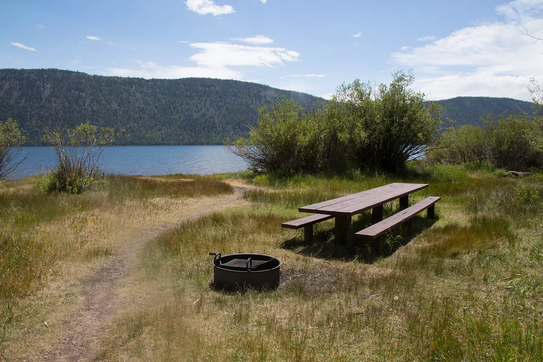 Twin Creeks Picnic Area è un sito per picnic diurno a Fish Lake nella Fishlake National Forest