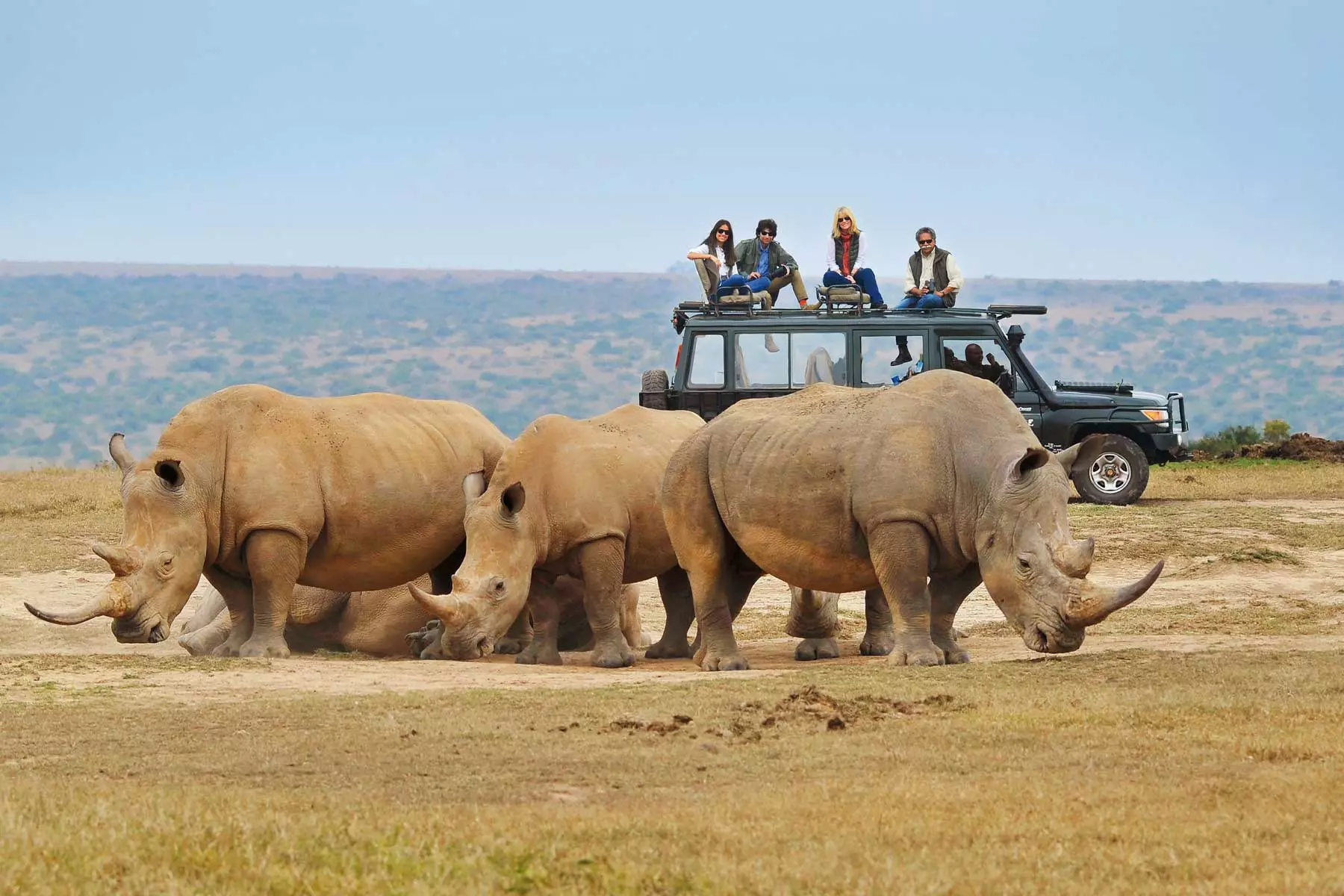 한 무리의 손님이 세계 최고의 사파리 의상 업체 중 하나로 선정된 Micato Safaris와 함께 사파리 지프 위에서 Whinos를 관찰하고 있습니다.