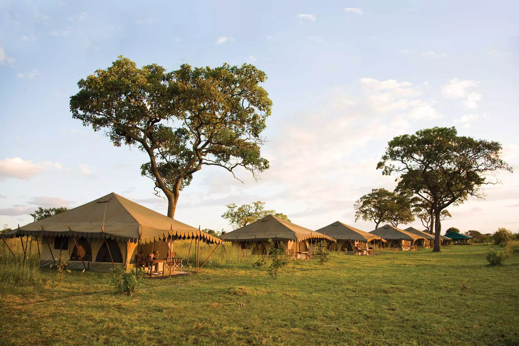 세계 최고의 사파리 업체 중 하나로 선정된 Thomson Safaris와 함께 나들이에서 본 게스트 텐트