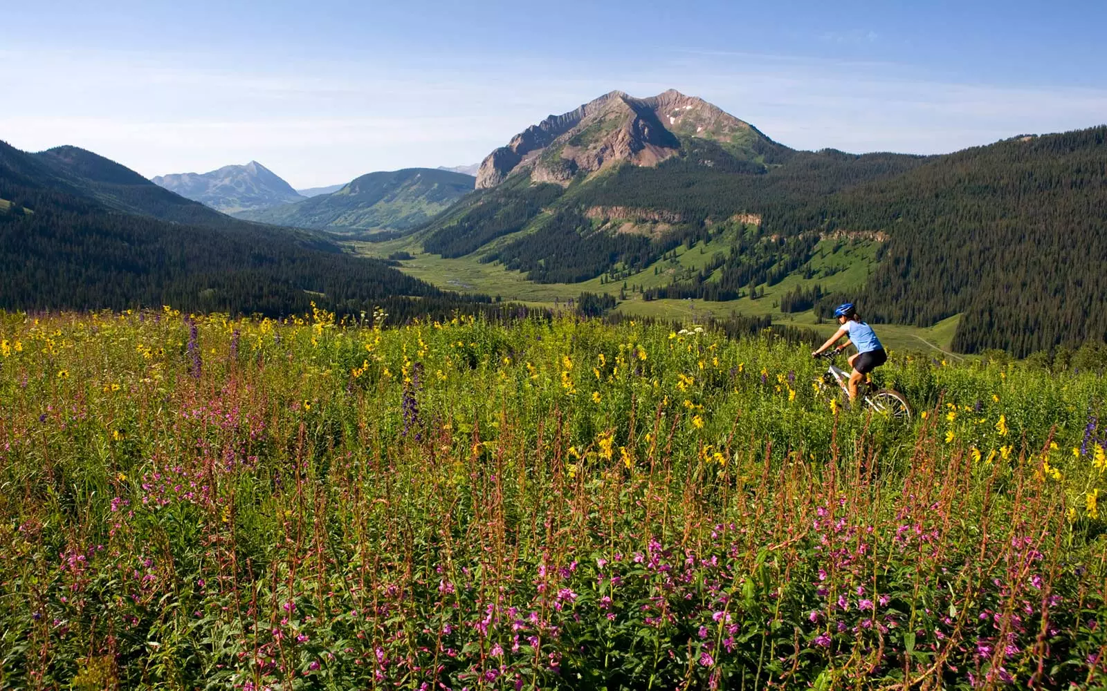 Ishyamba rya Gunnison National, Colorado