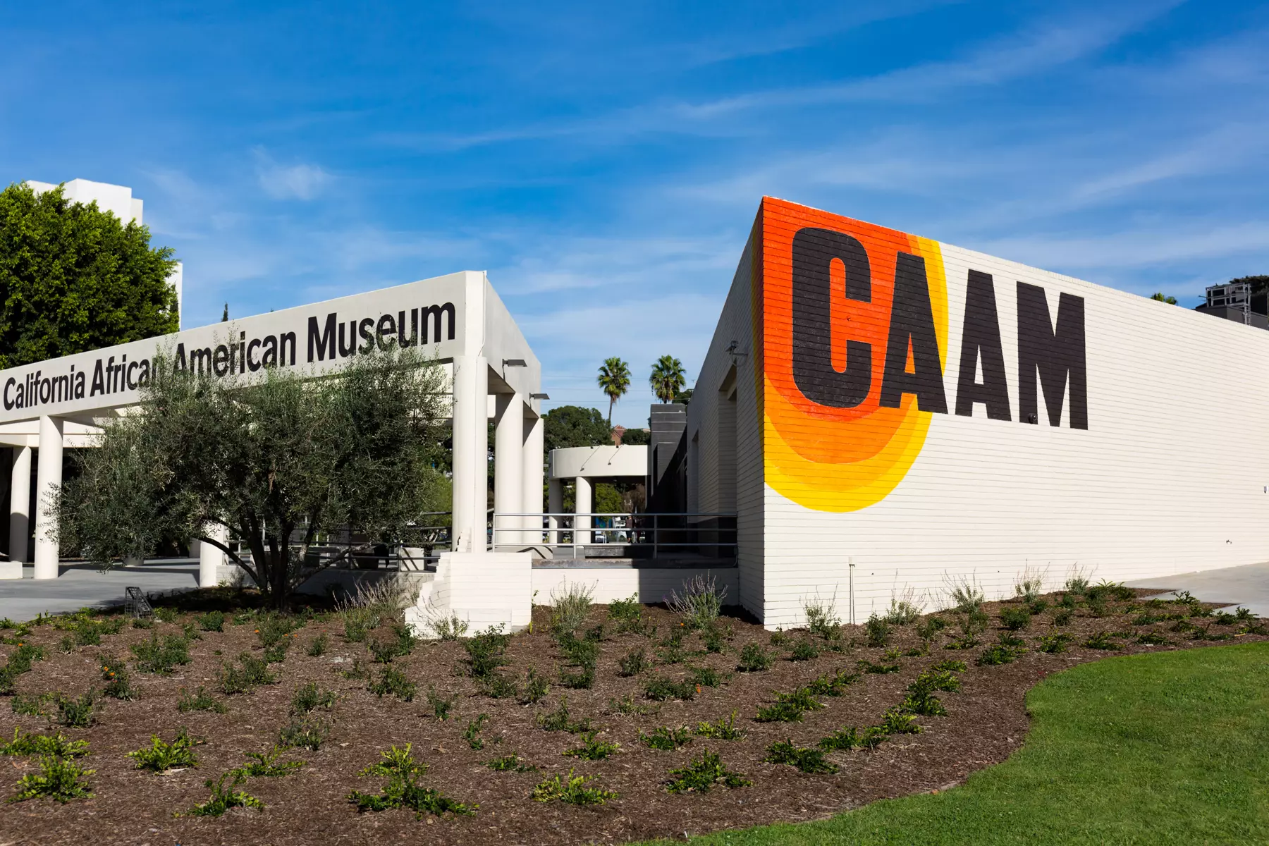 Panlabas na view ng California African American Museum