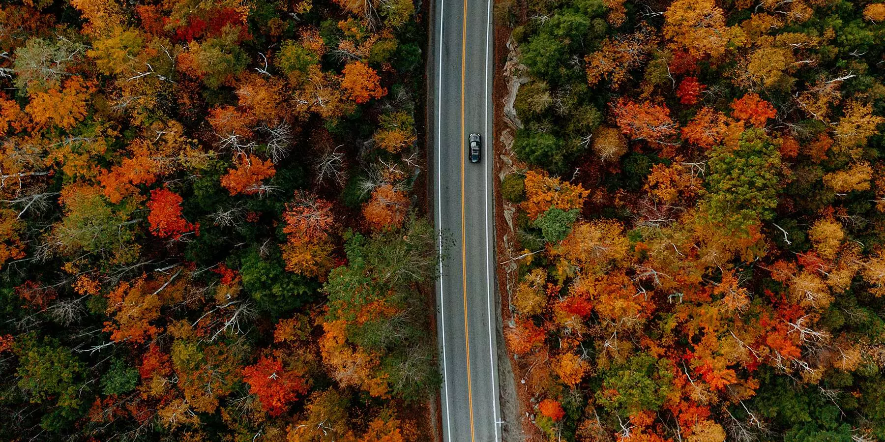 Maapu Tuntun Yi Ṣafihan Nibo ati Nigbawo Lati Wo Foliage Isubu Ti o Dara julọ Kọja Ni Ipinle New York