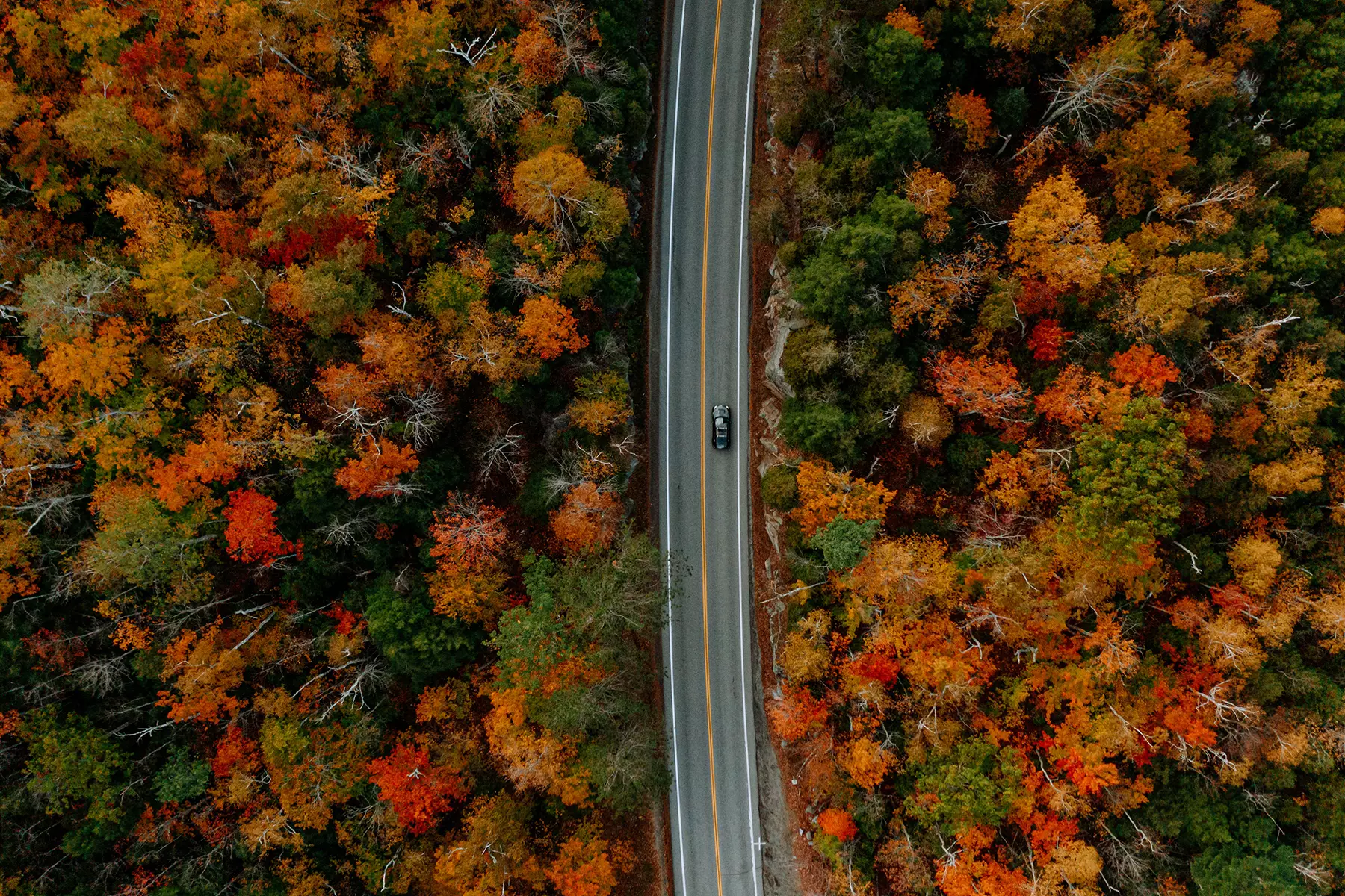 Flygfoto över Adirondack-bergen på hösten med bladverket