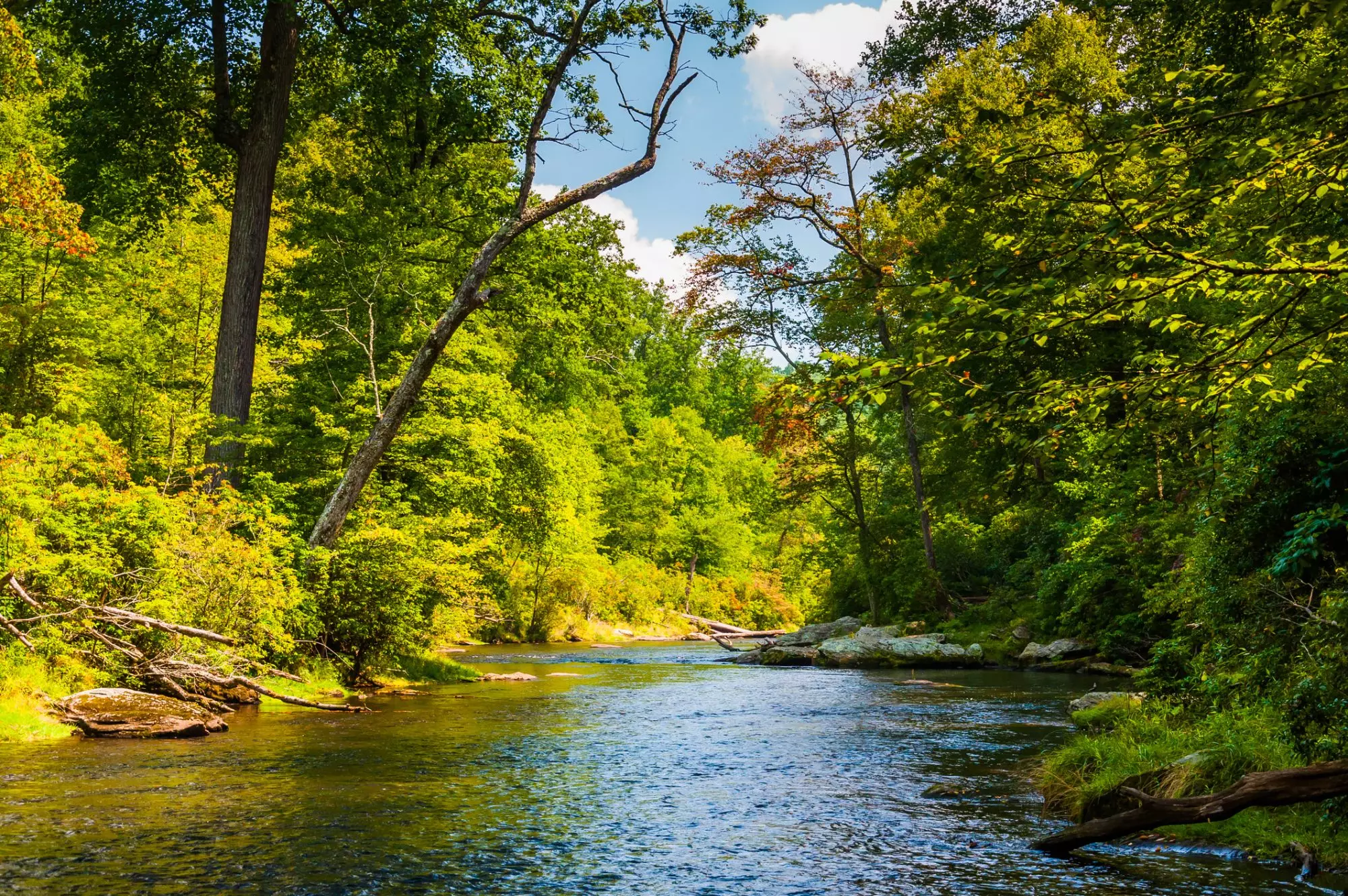 Friðsælt útsýni yfir Gunpowder Falls, í Baltimore-sýslu, Marylan