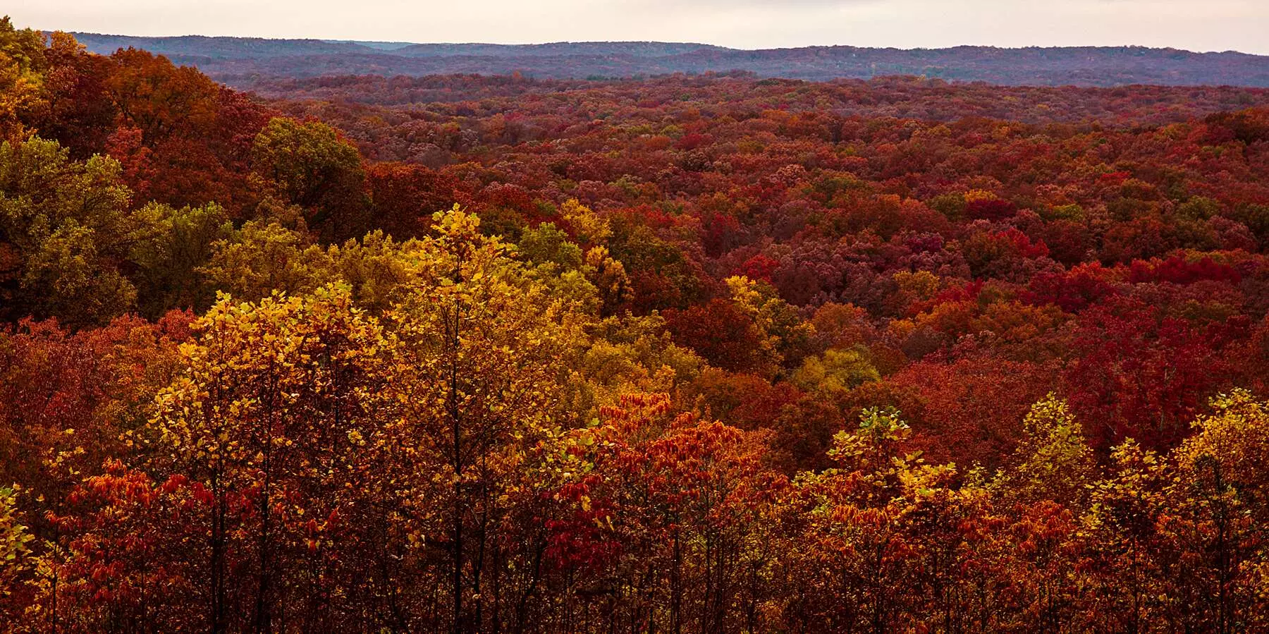 11 Madhorobha Madiki Akanakisa muUS kuona Fall Foliage