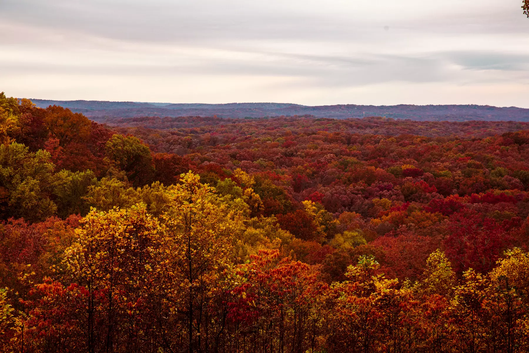 Überblick über Bäume im Herbst im Brown County State Park in Nashville, Indiana