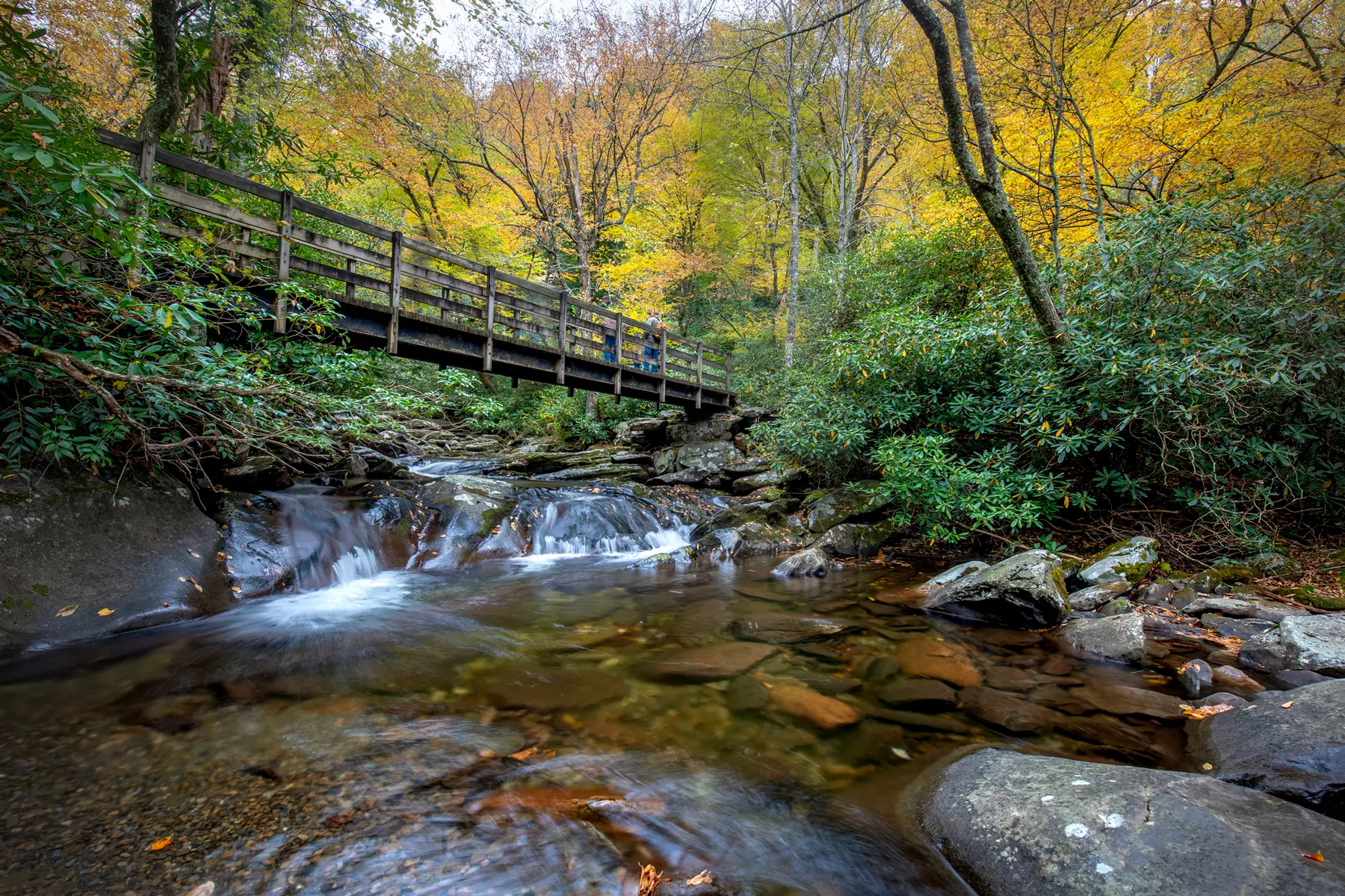 Waterfall ing Smoky Mountain National Park