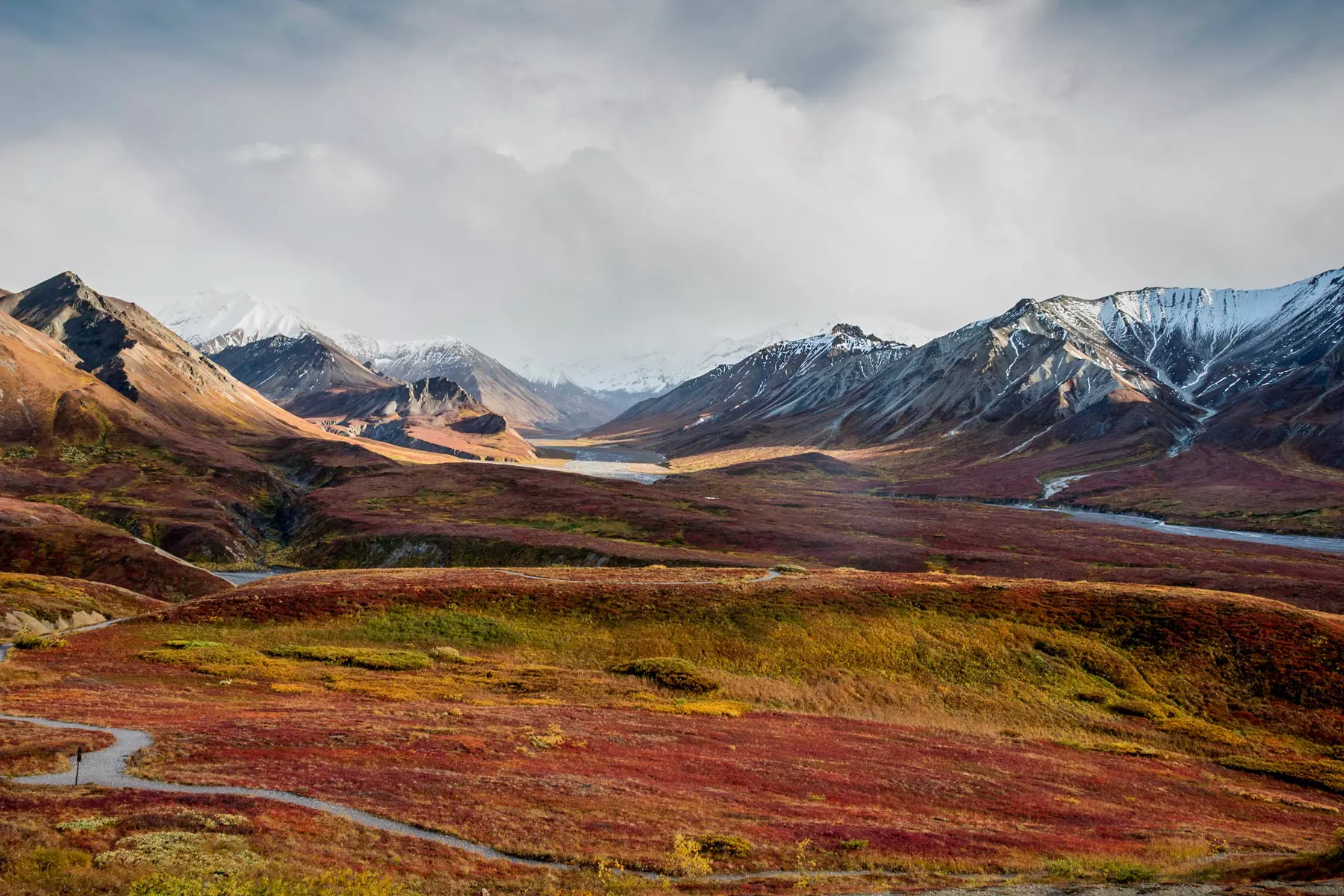 Difoto pada musim gugur di Taman Nasional Denali, warna cerah di tundra dan pegunungan bersalju serta sungai di latar belakang